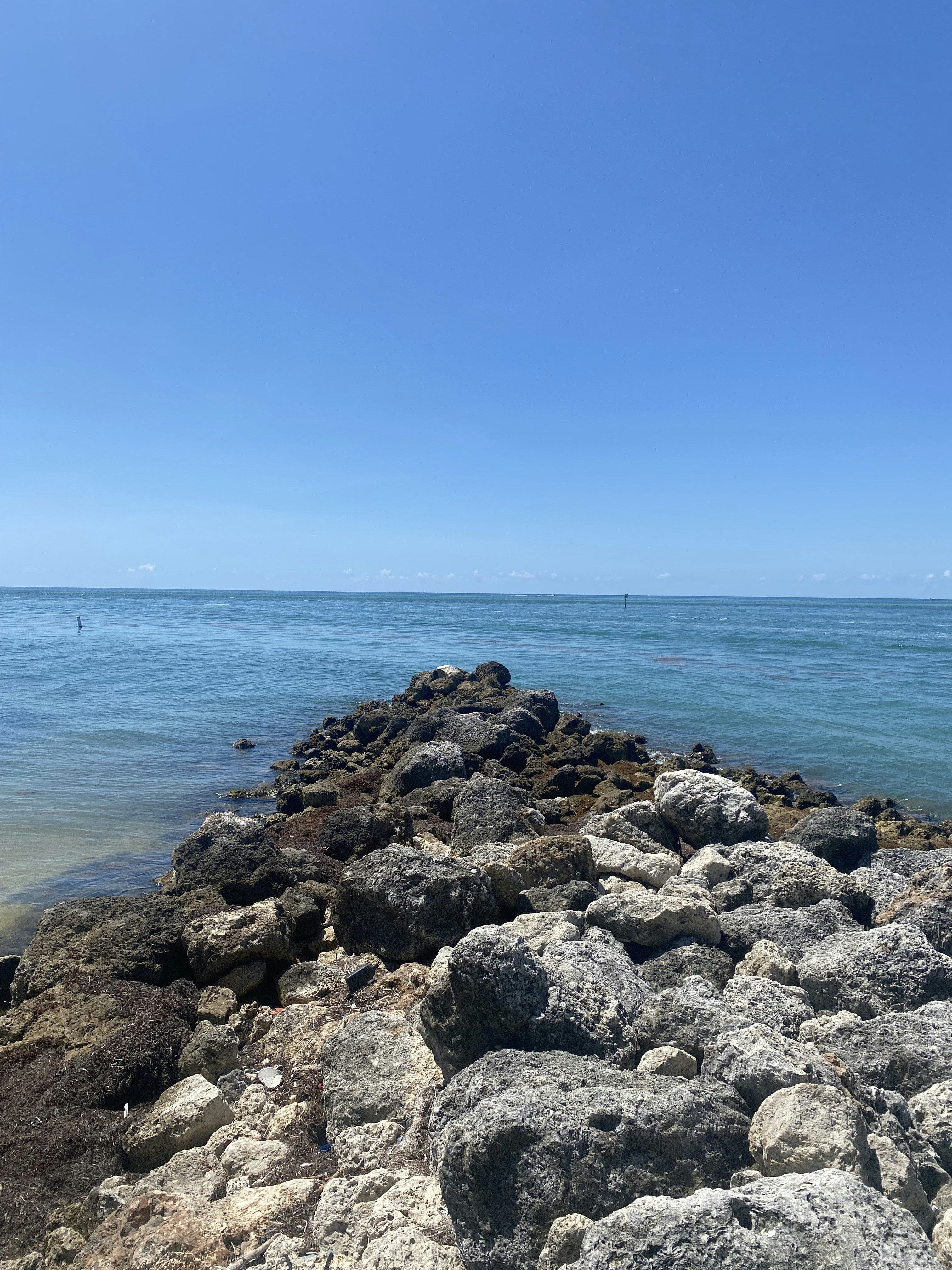 A rocky beach with water in the background photo – Free Florida keys ...