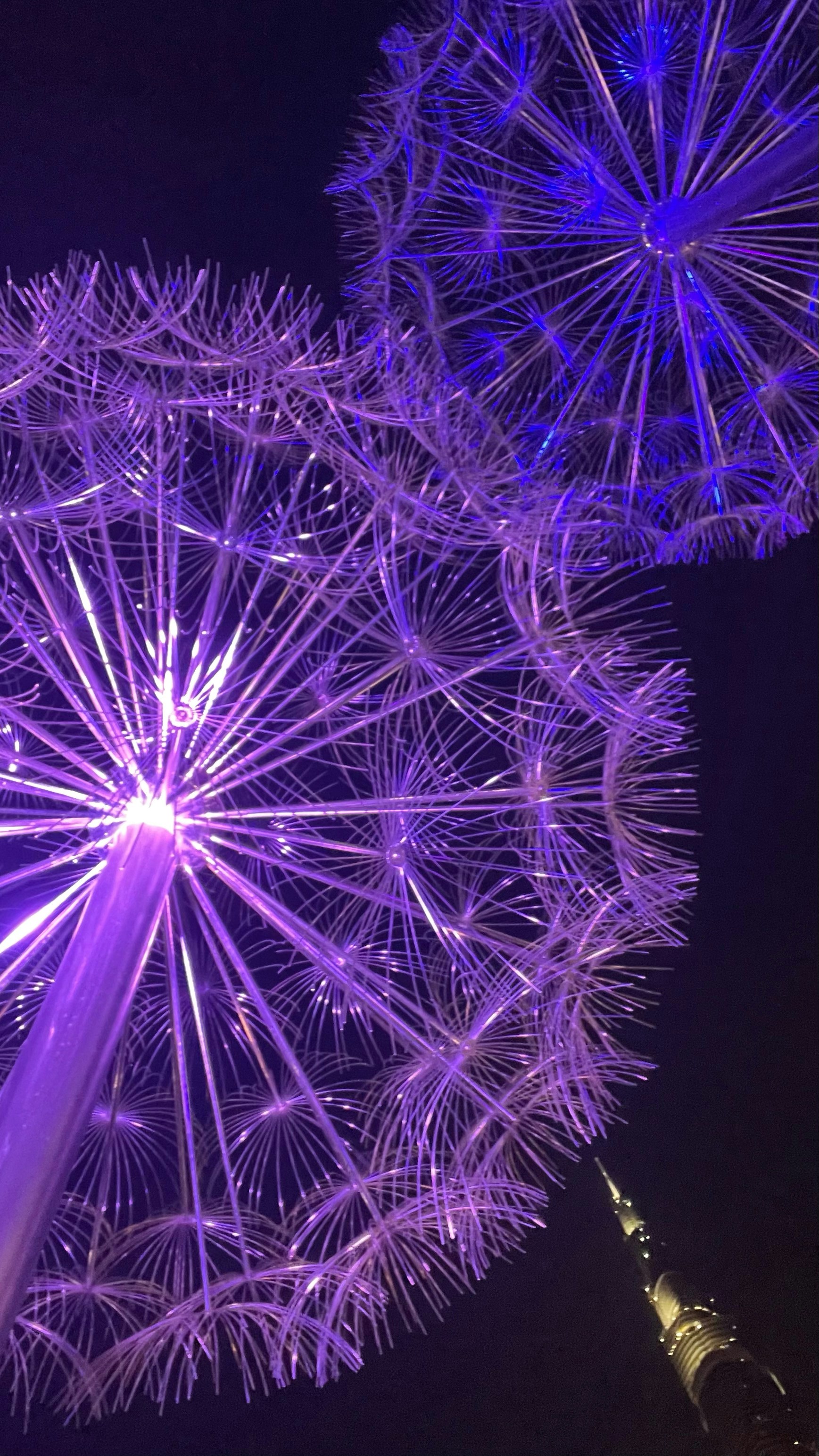 A purple light display photo – Free Purple Image on Unsplash