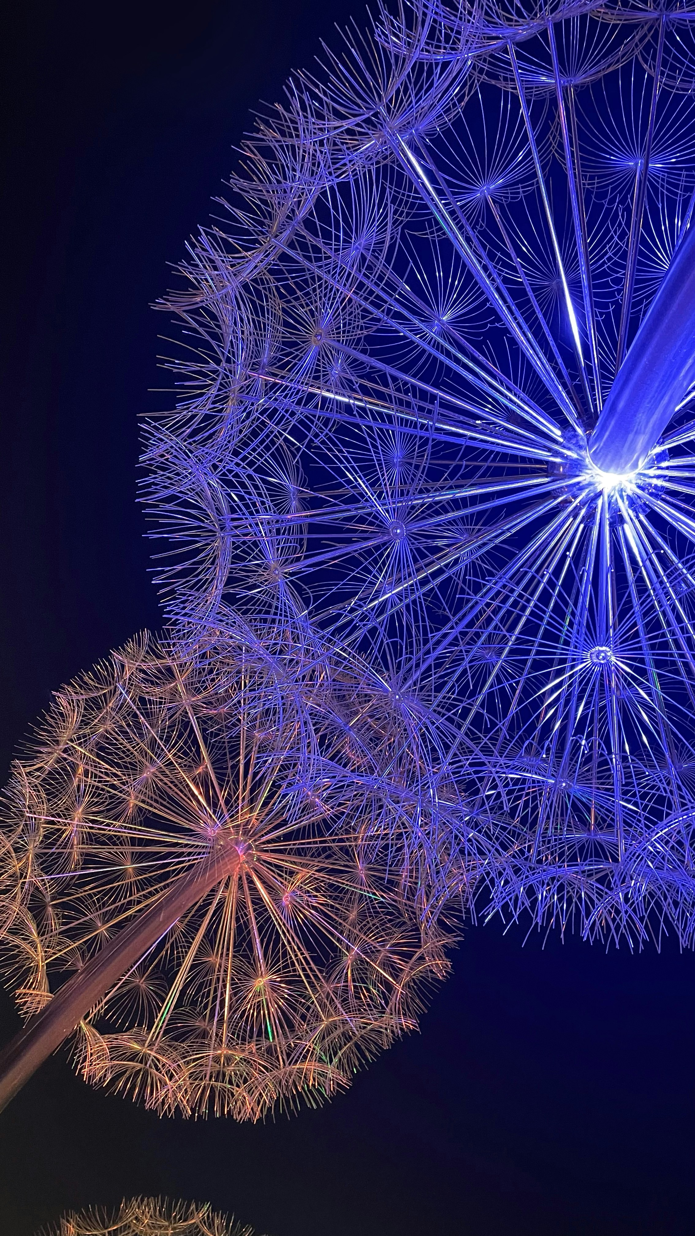 A large fireworks display photo – Free Blue Image on Unsplash