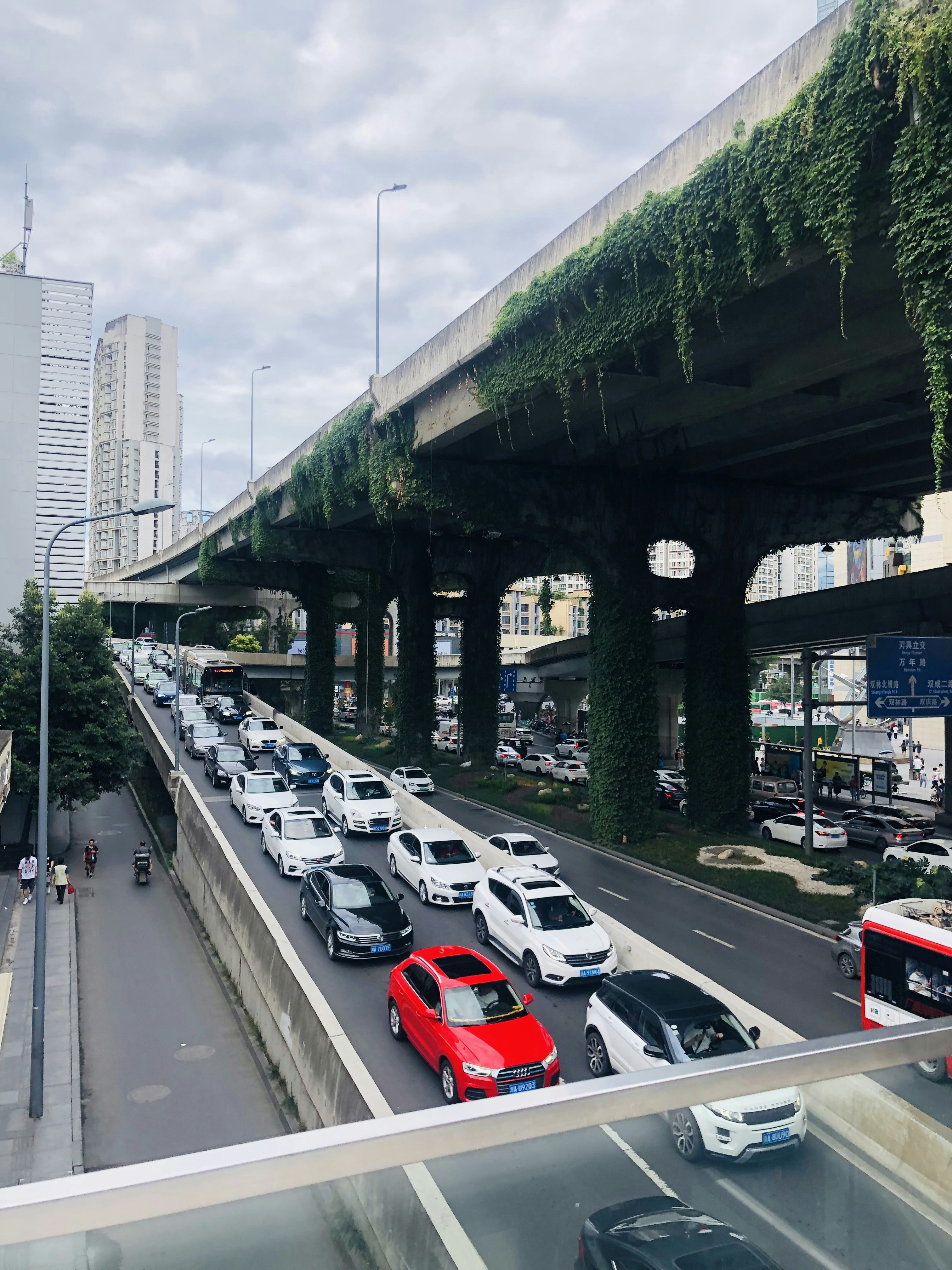 Traffic flows beneath a lush, green overpass in a bustling cityscape, showcasing the harmony between urban development and nature.