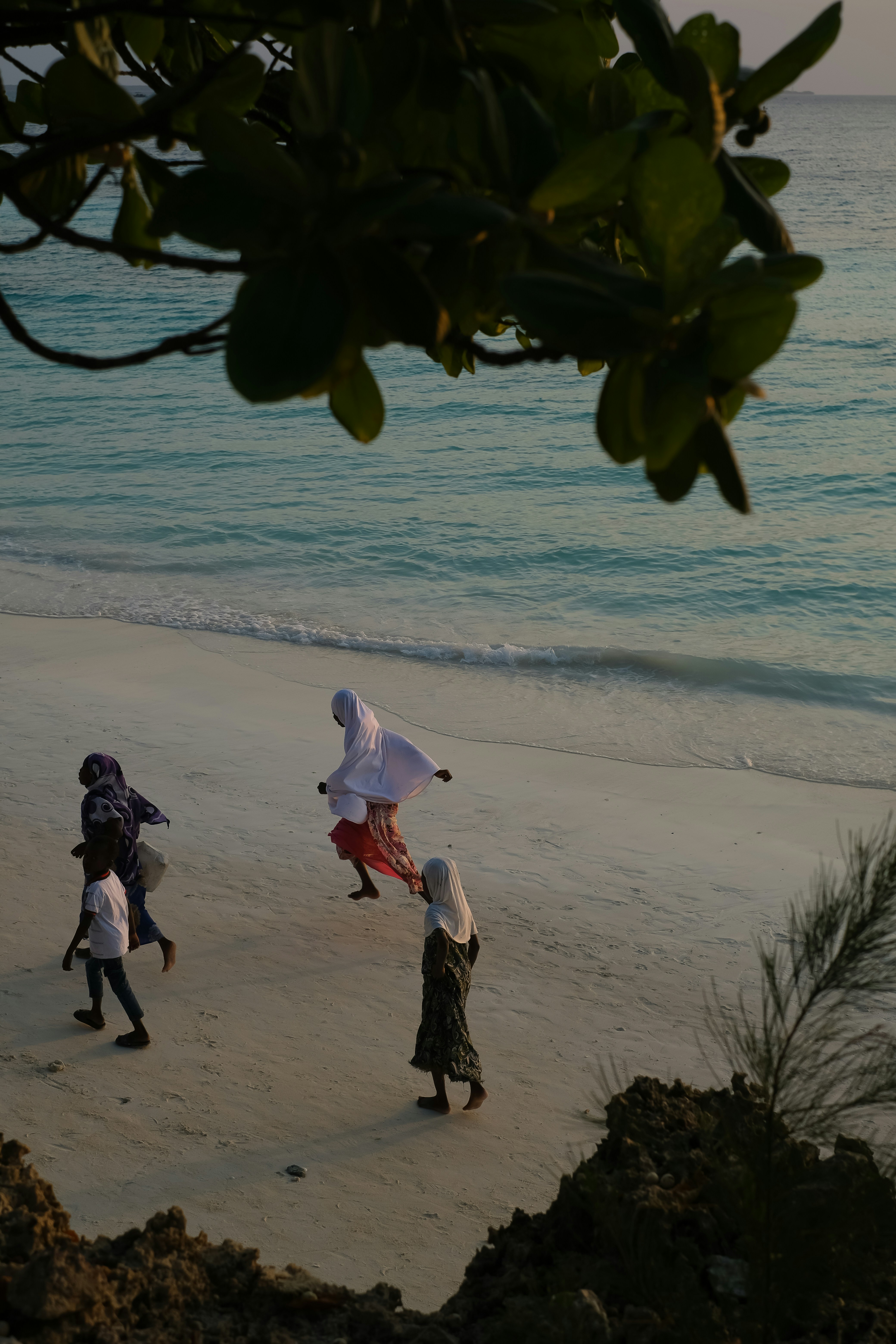 White-Clad Figure on a Quiet Beach Framed by Shadowed Foliage