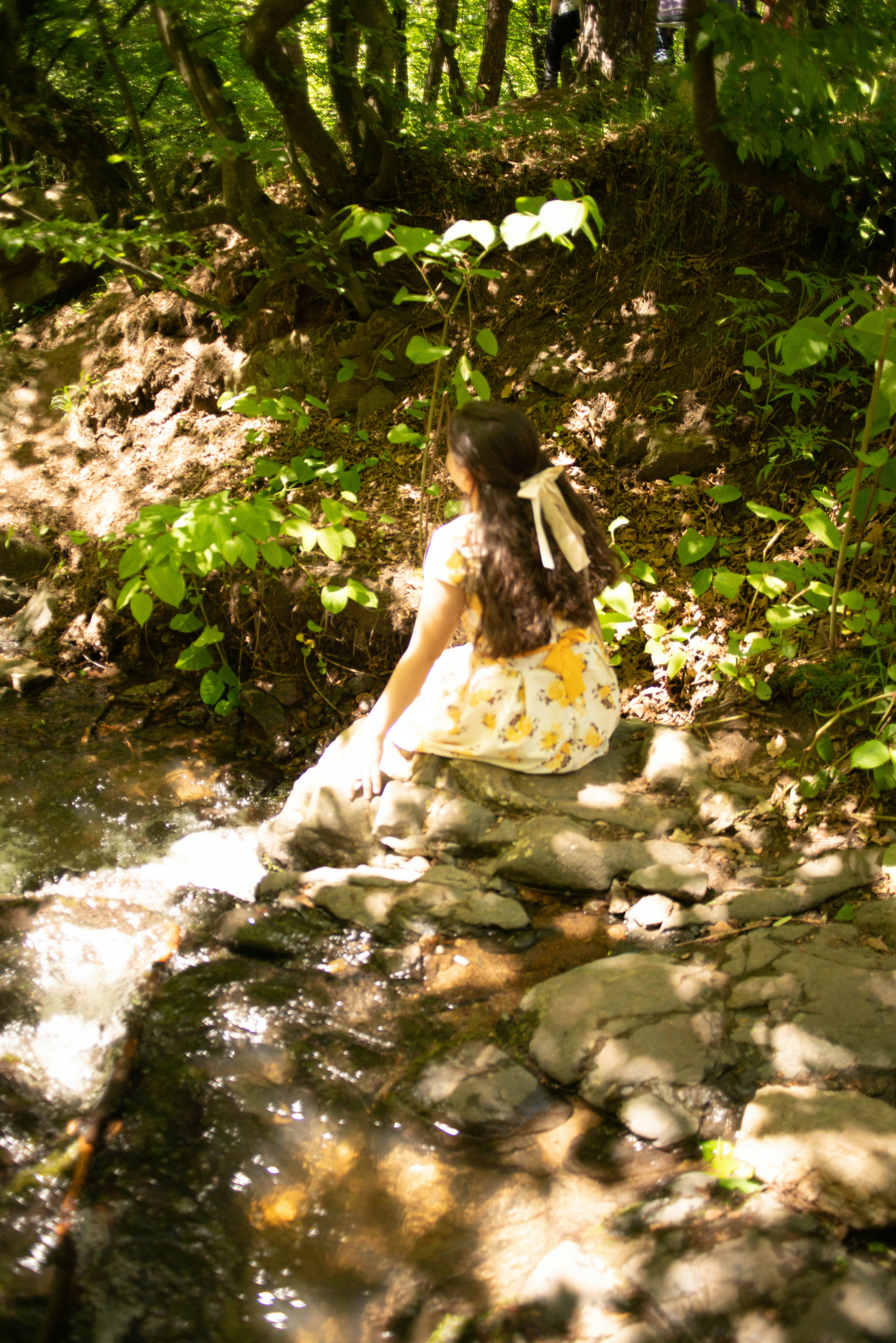 A person sitting in a stream photo – Free Stepanavan dendropark Image ...