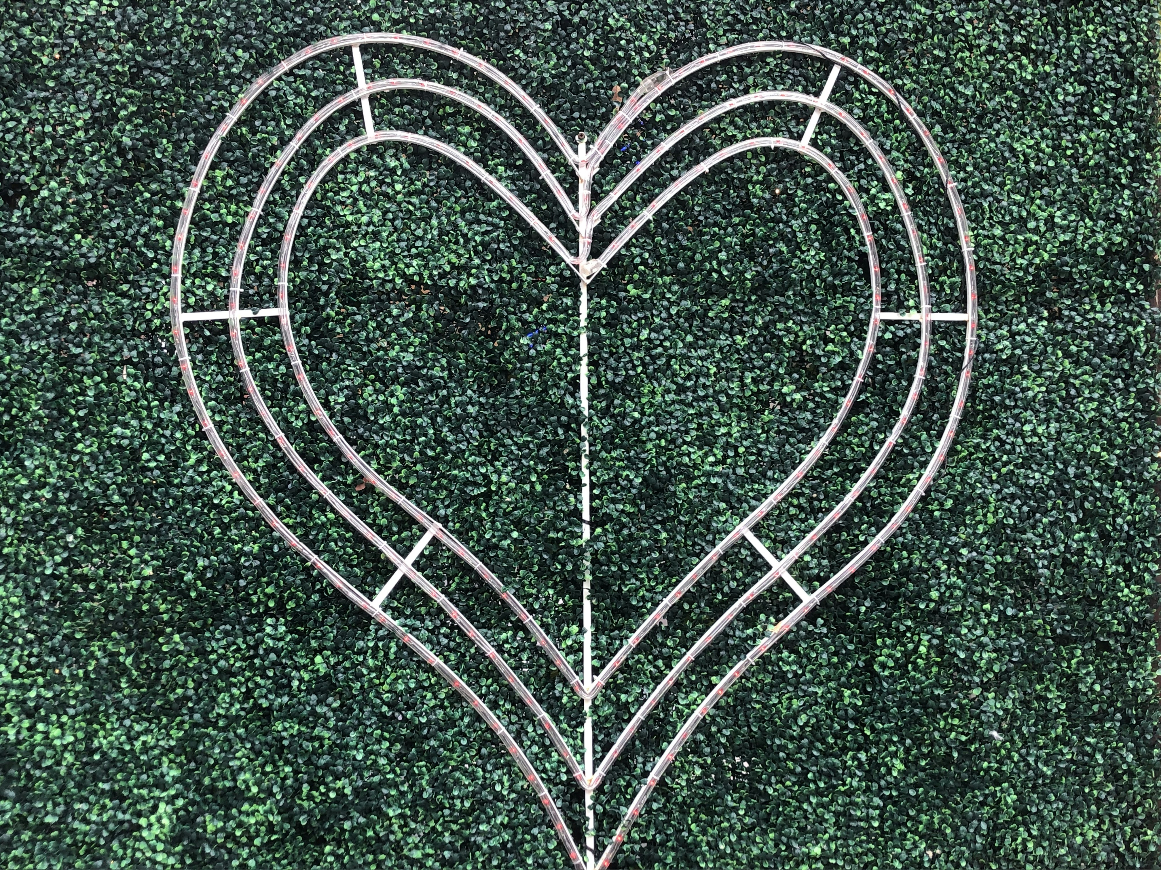 Heart on Green Shrubbery Background 