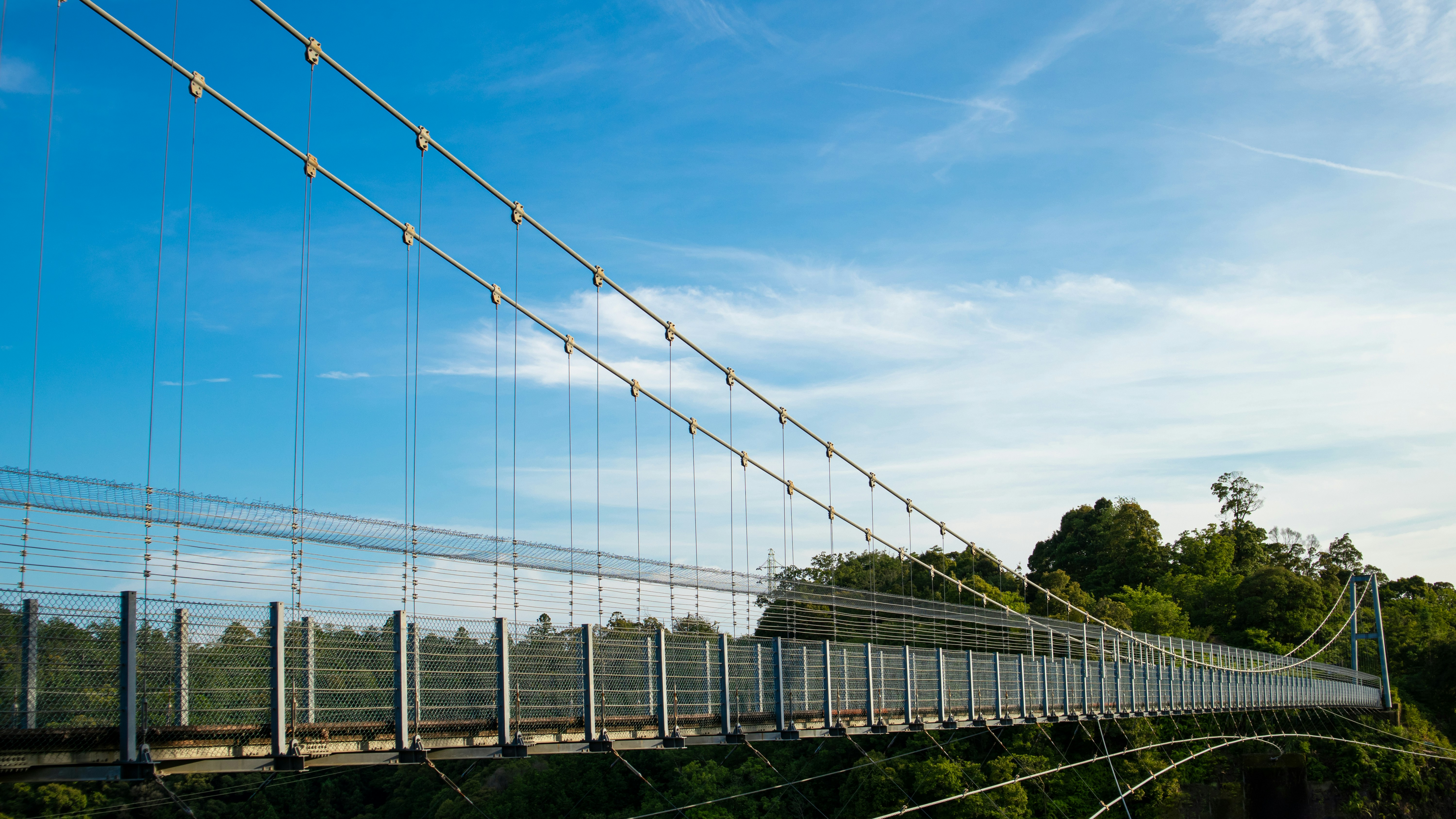 A bridge with cables and trees photo – Free Japan Image on Unsplash