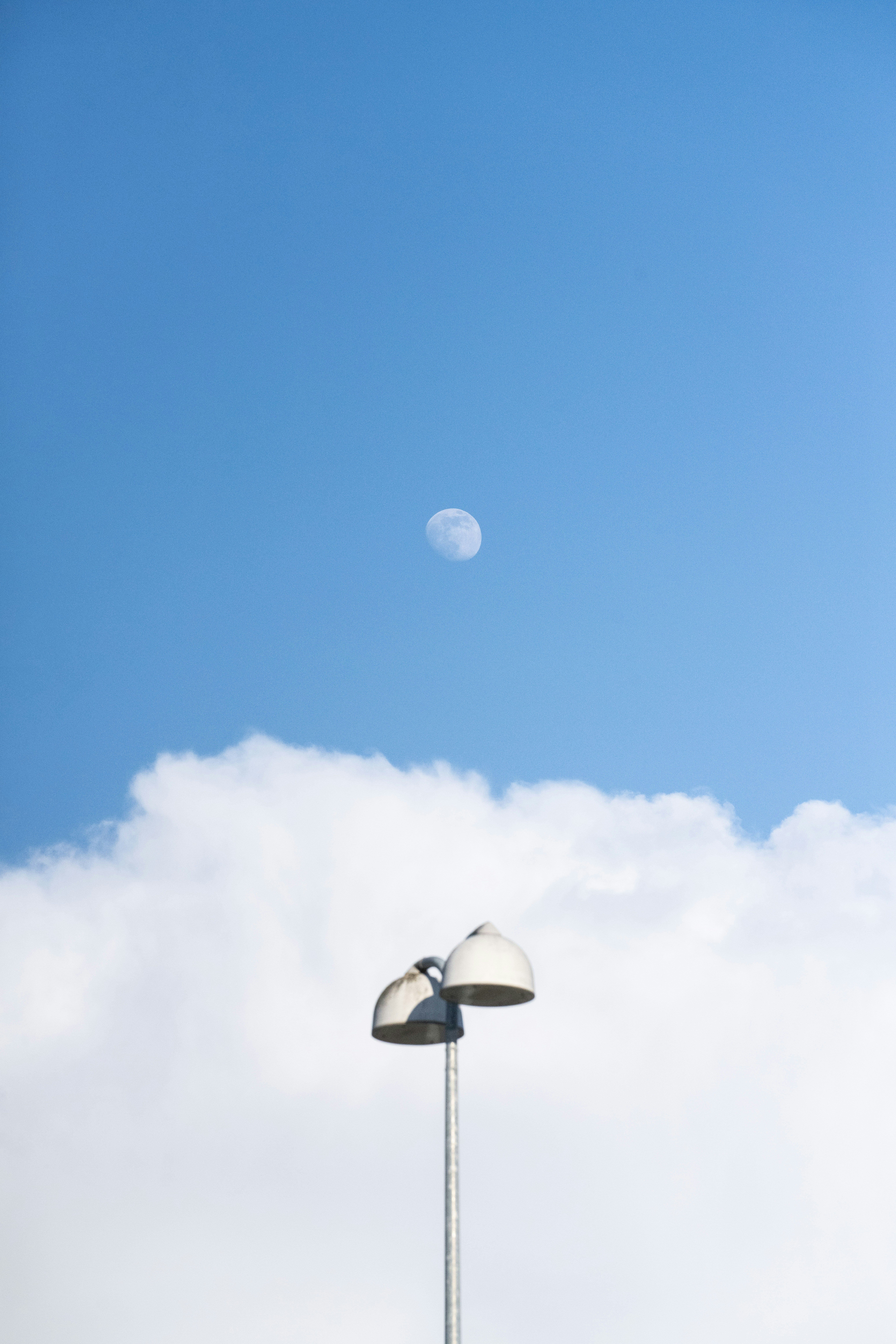 A streetlamp stands tall against a backdrop of clouds and a visible moon, capturing the serene intersection of urban life and nature.