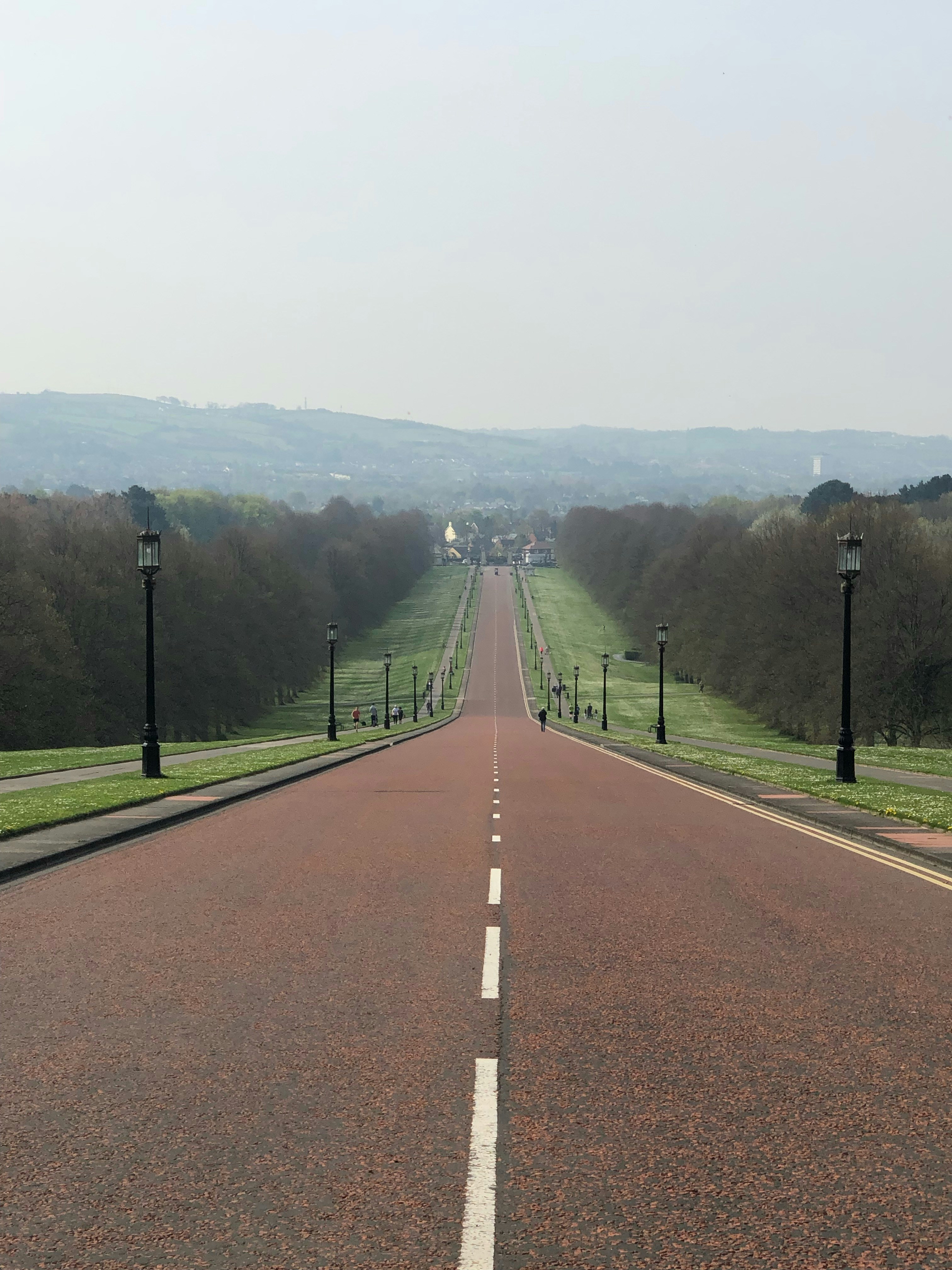 A vanishing avenue: a long red lane flanked by trees toward a distant horizon
