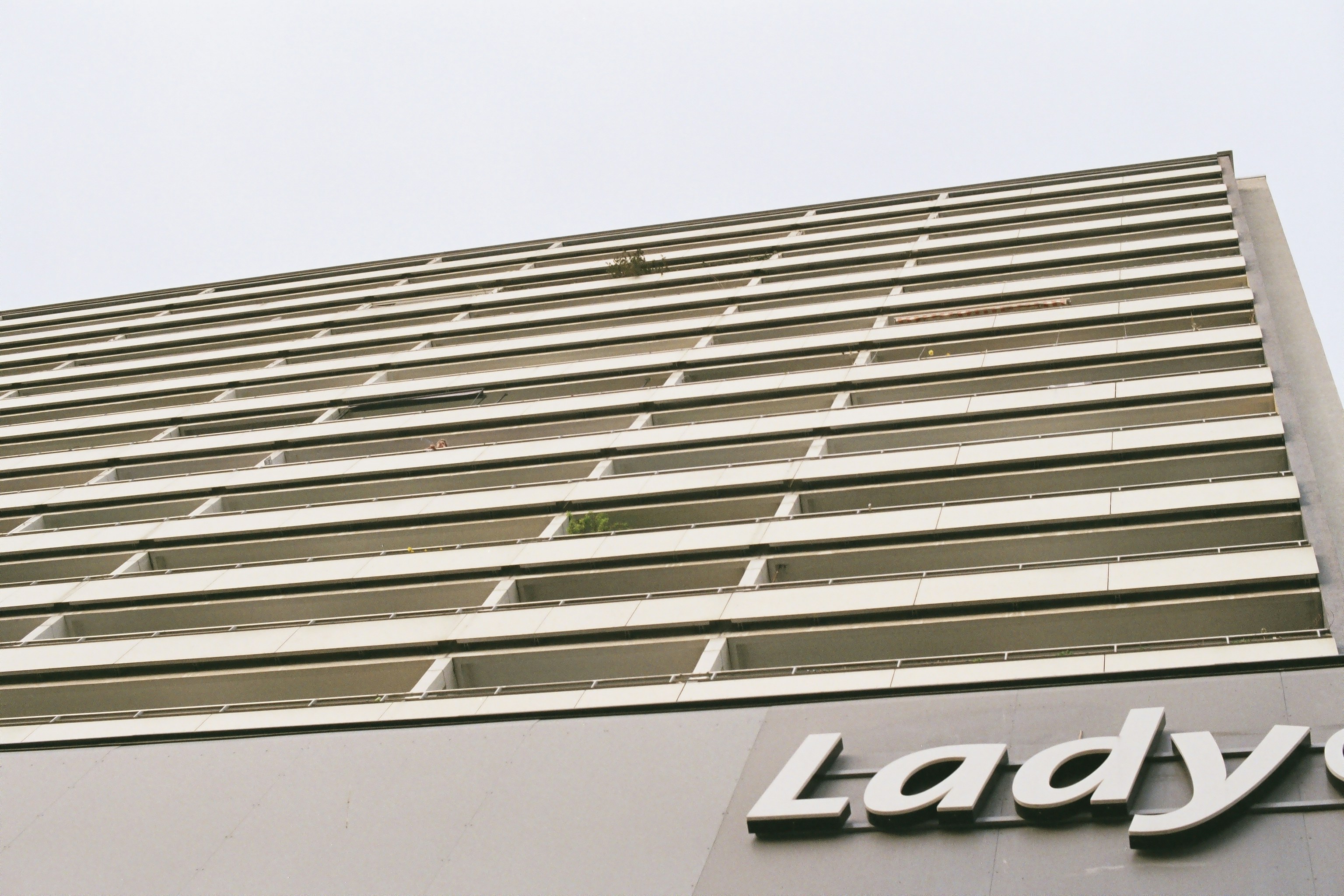 Facade Grid: Perspective Lines Converge Toward a Partial 'Lady' Sign