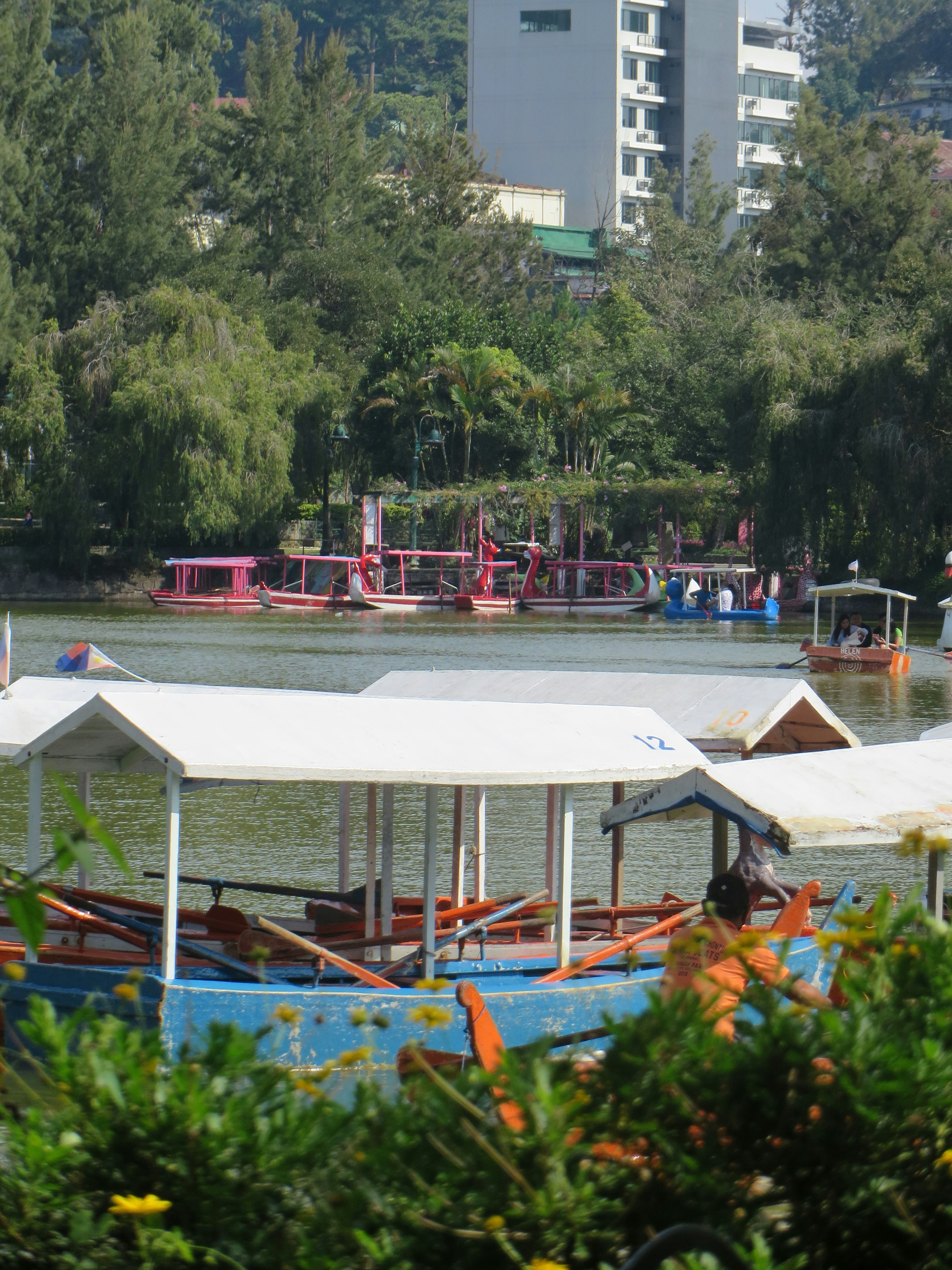 Colorful boats anchored by the lakeside, surrounded by lush greenery and a backdrop of modern architecture. The scene reflects a tranquil day of leisure.