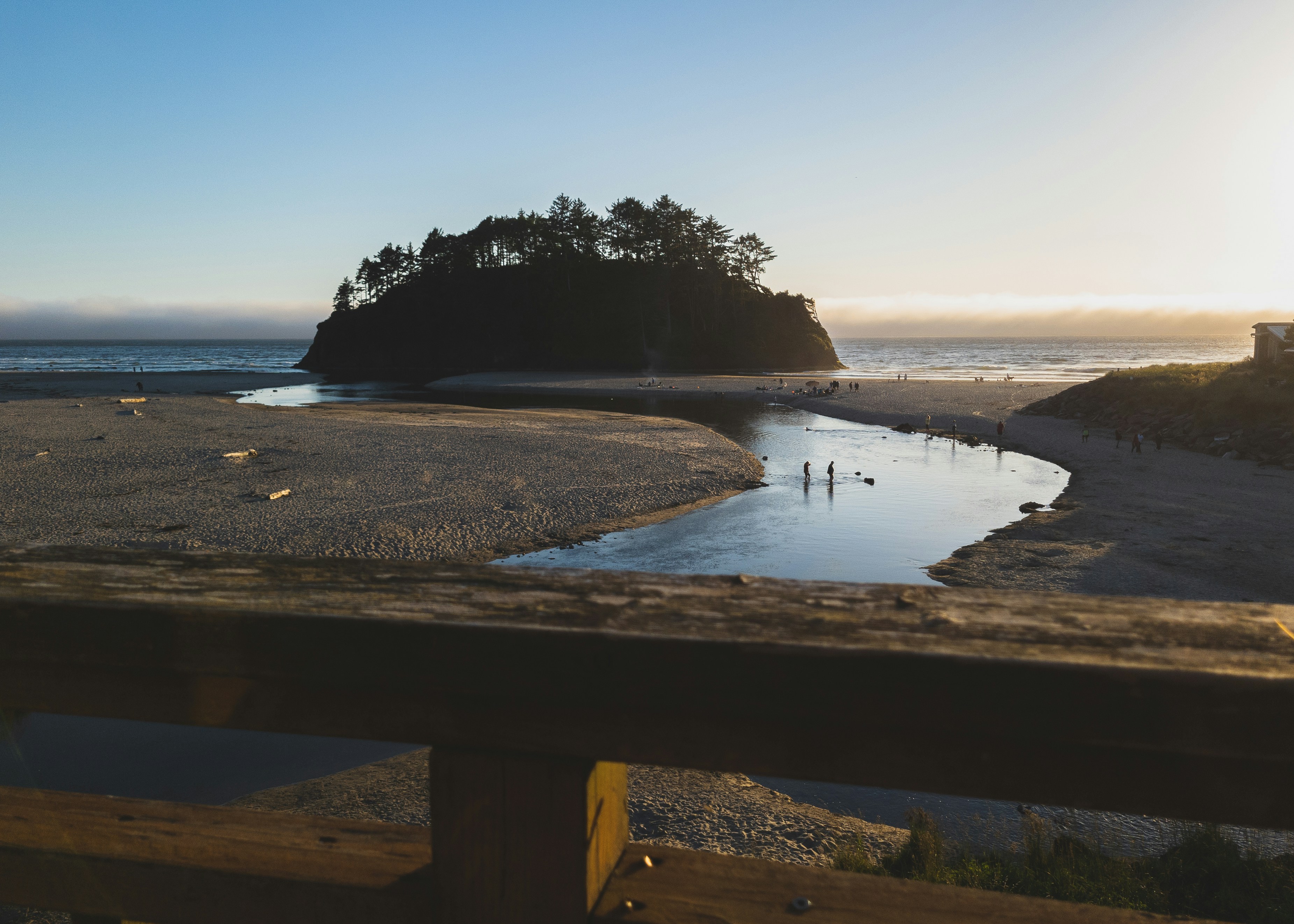 Pine-Crowned Isle Framed by Dusk-Touched Tide