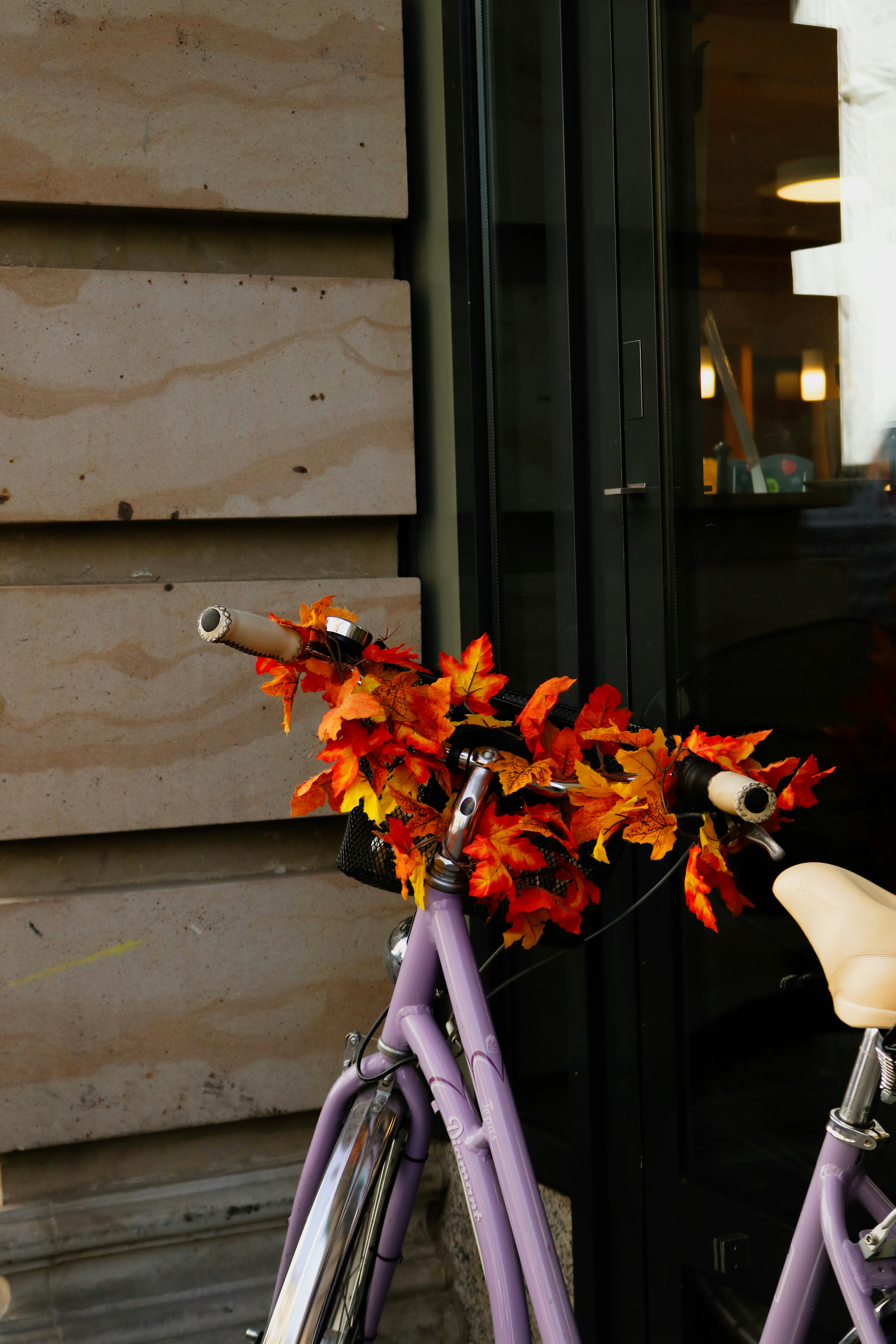 A purple bicycle with flowers on it photo – Free Bike Image on Unsplash
