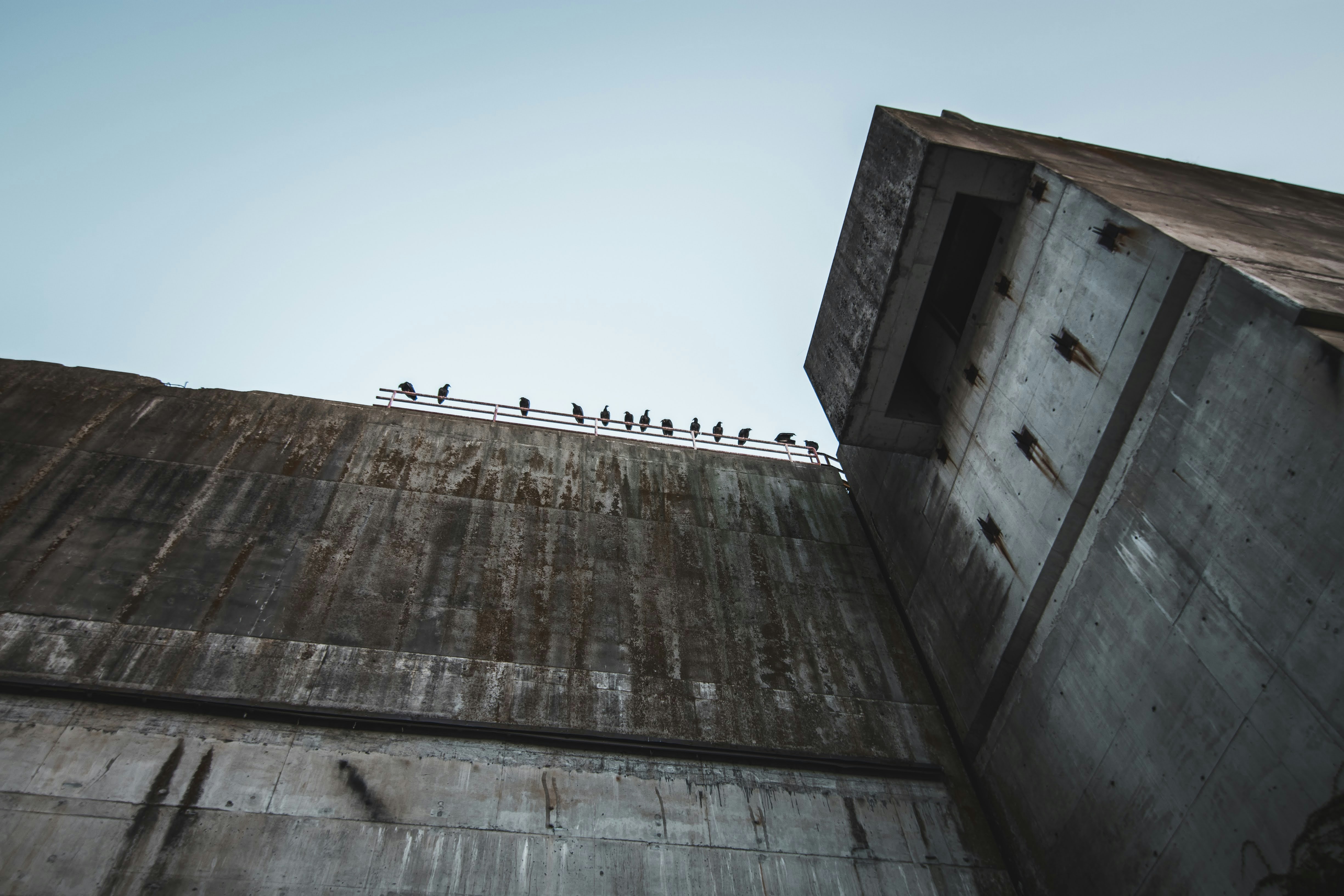 a group of people on top of a building