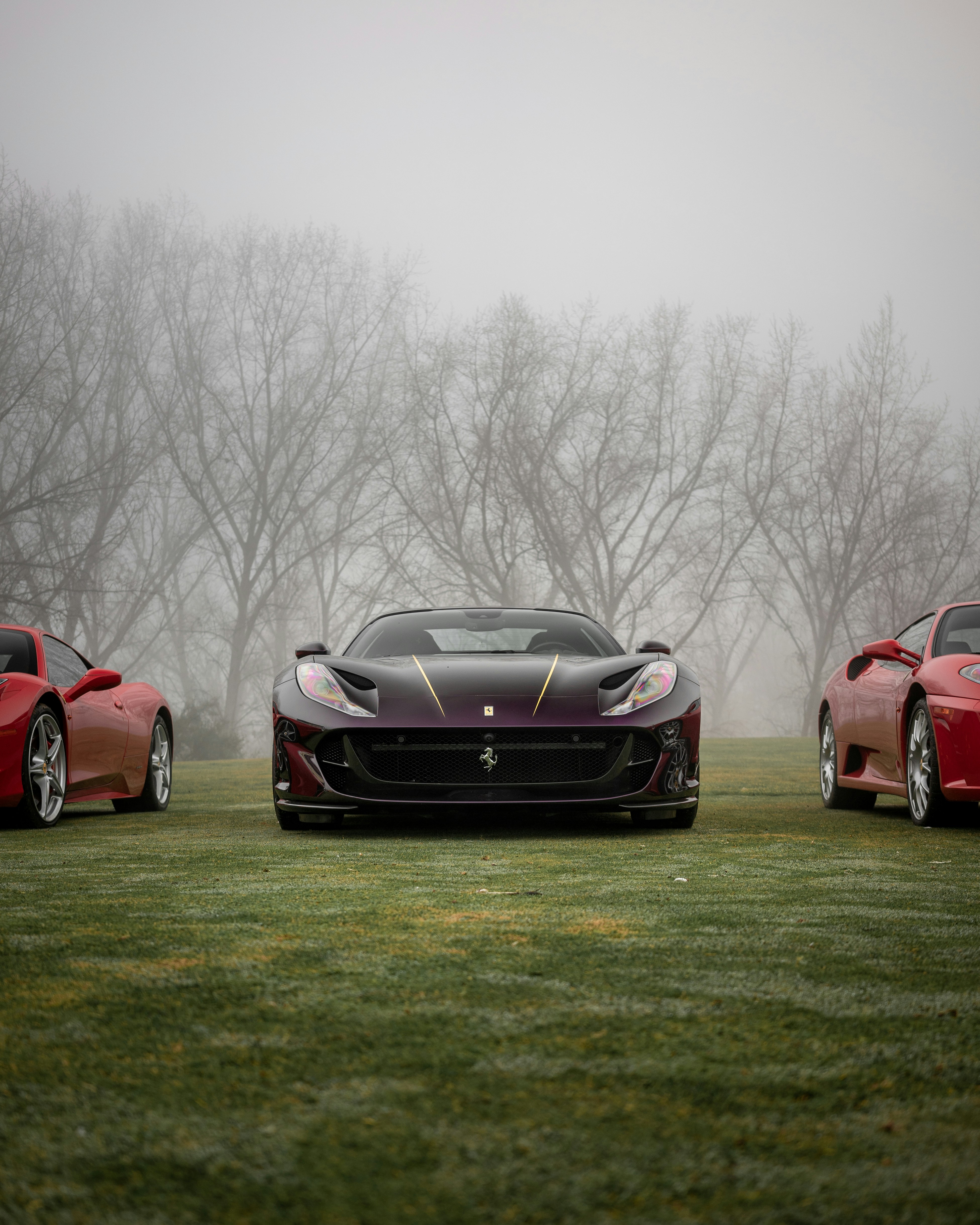 Centerpiece in the Mist: Dark Maroon Ferrari Leads a Fog-Lashed Lineup