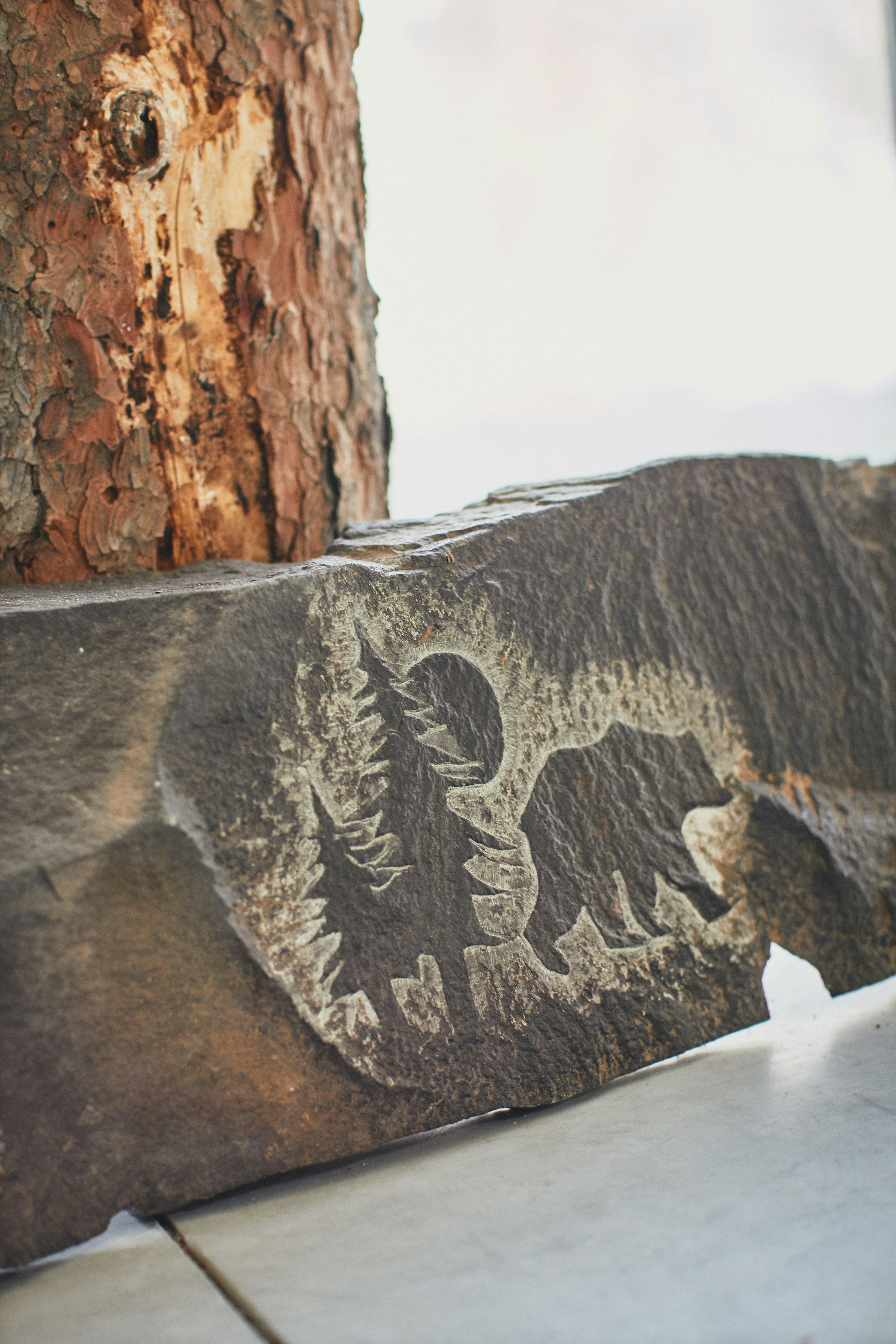 Ancient Mammoth Glyph on Weathered Stone