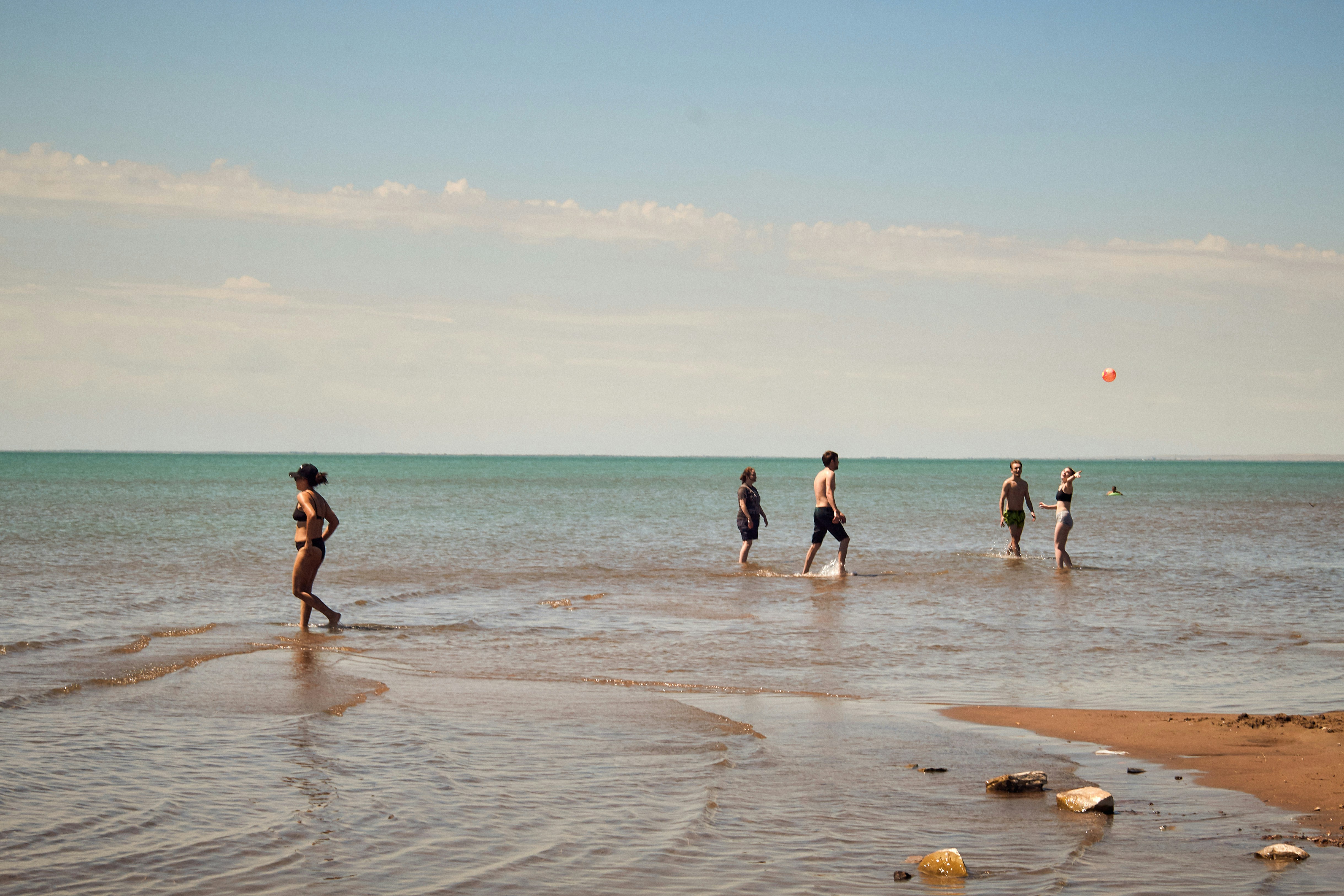 Footsteps and Friends: A Quiet Day at the Tidal Edge