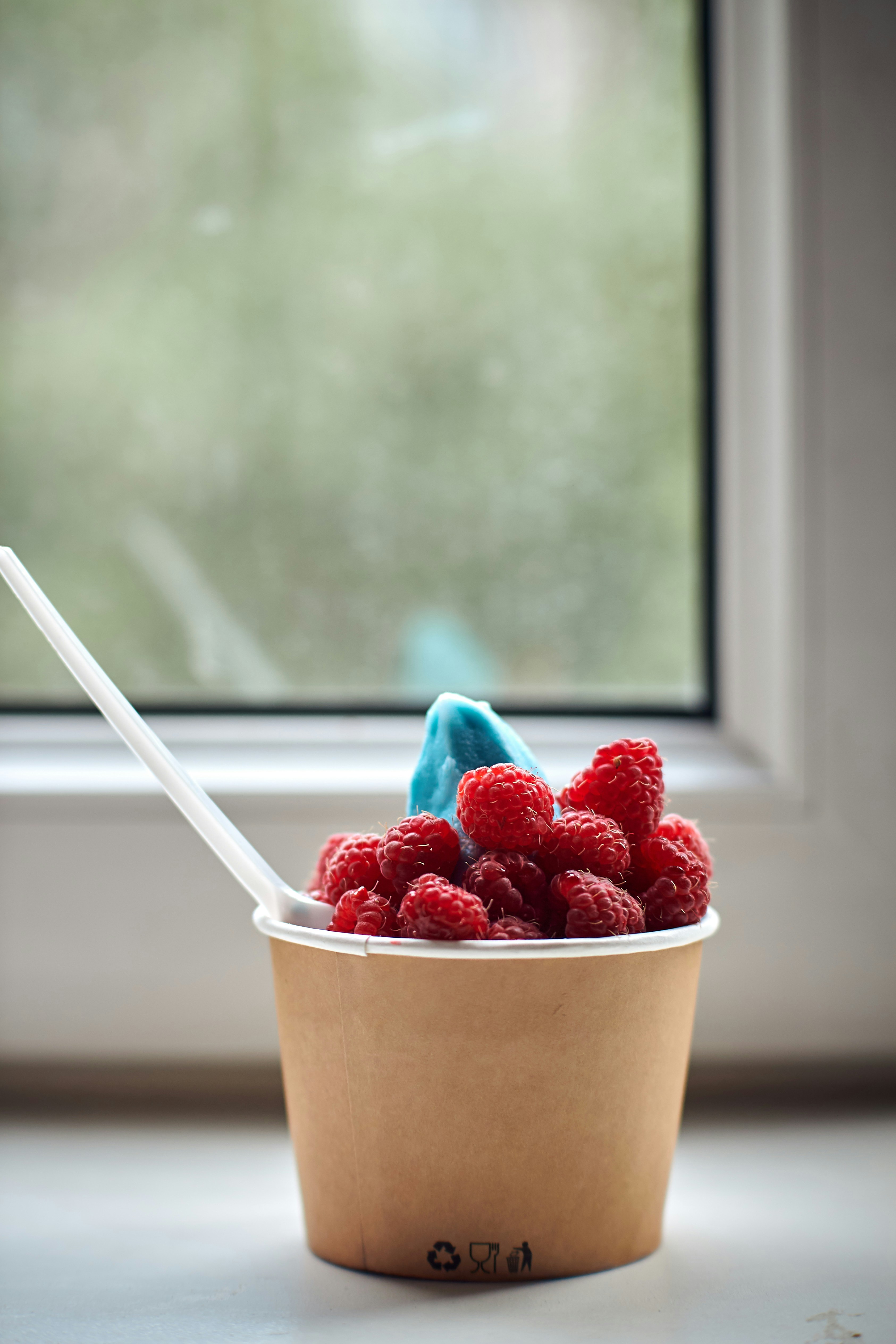 a cup of fruit