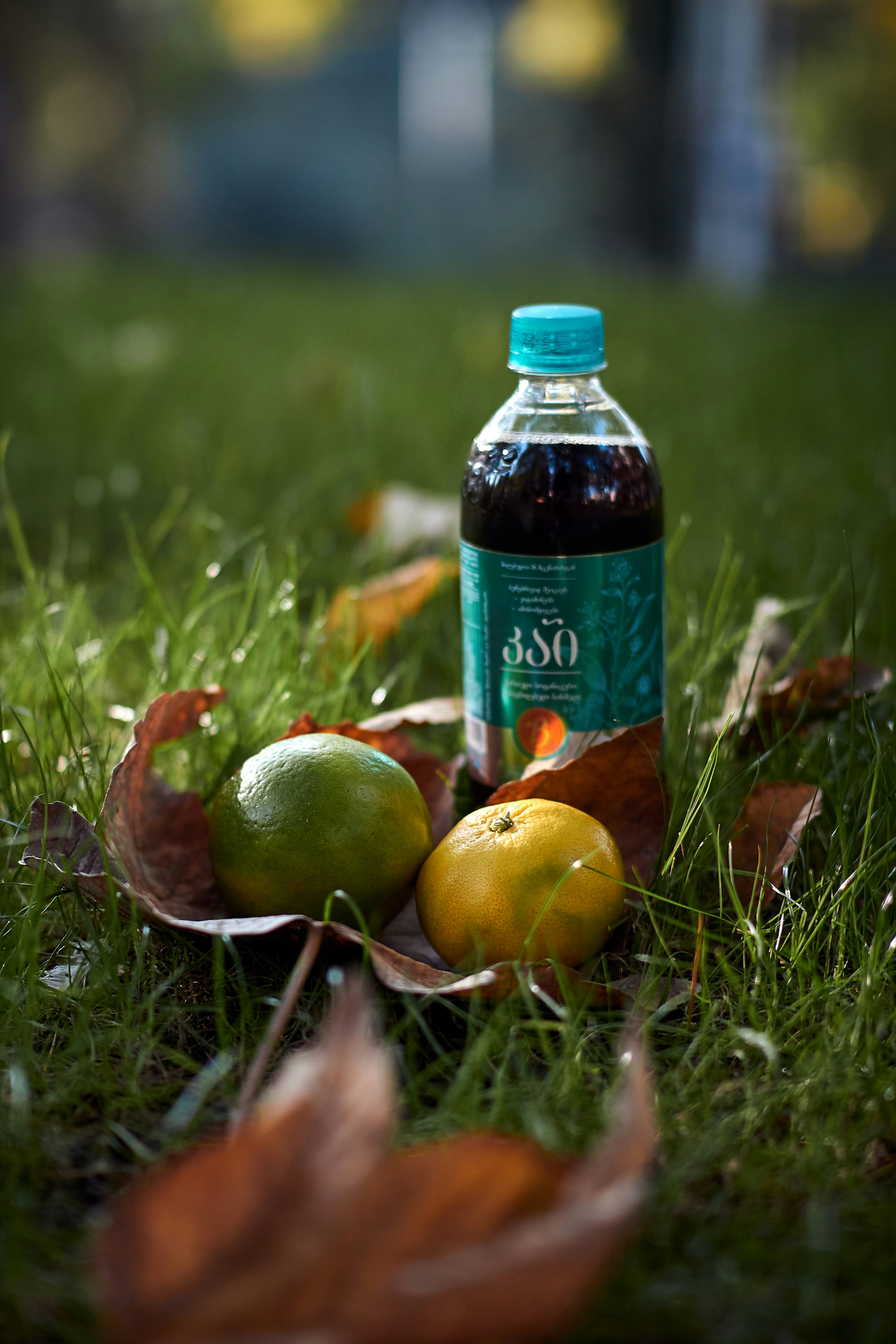 Two citrus fruits nestled in autumn leaves next to a bottle, set against a blurred green backdrop. 
