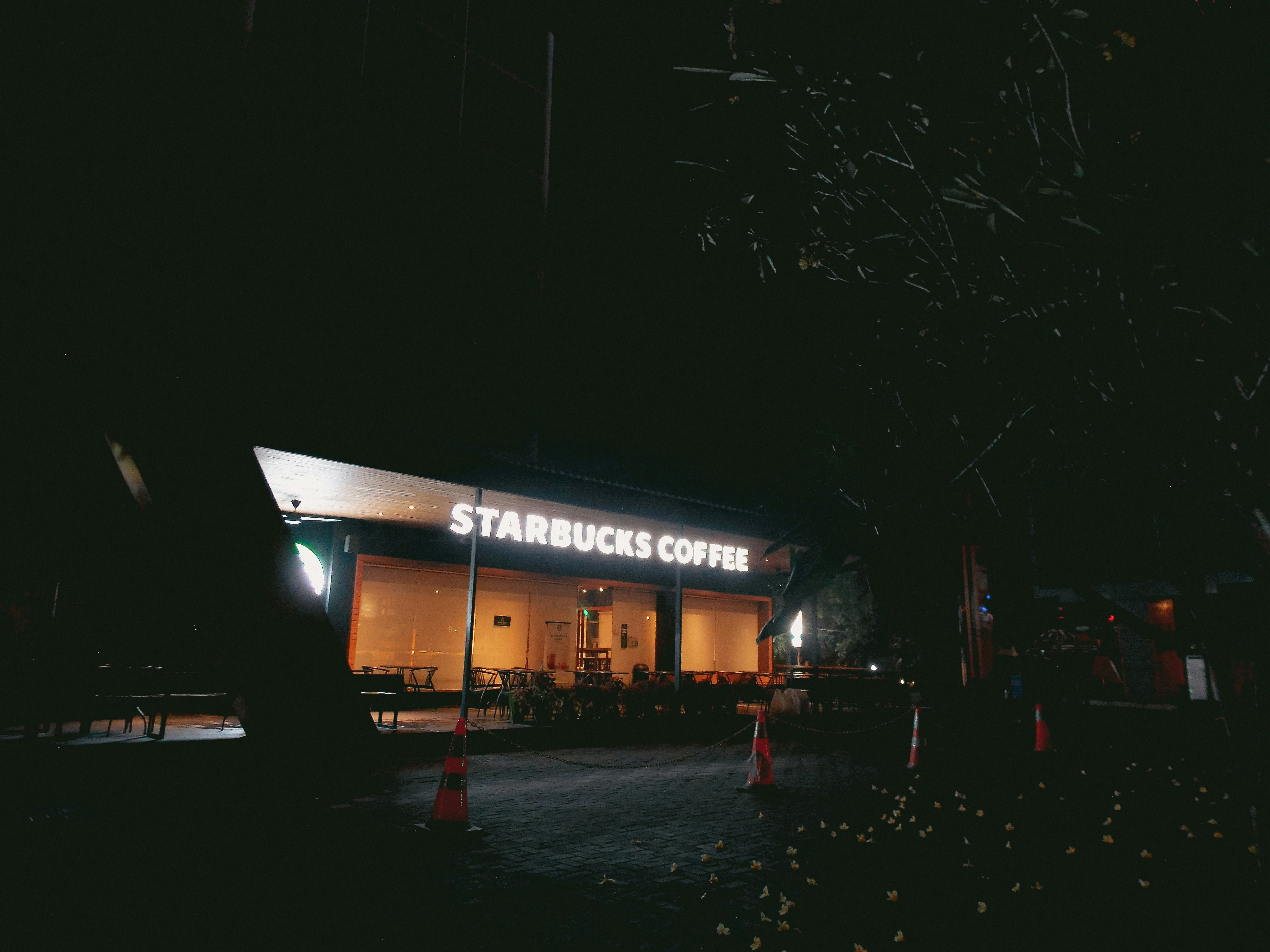 Photo by Andi Ikmal with Nikon COOLPIX L810