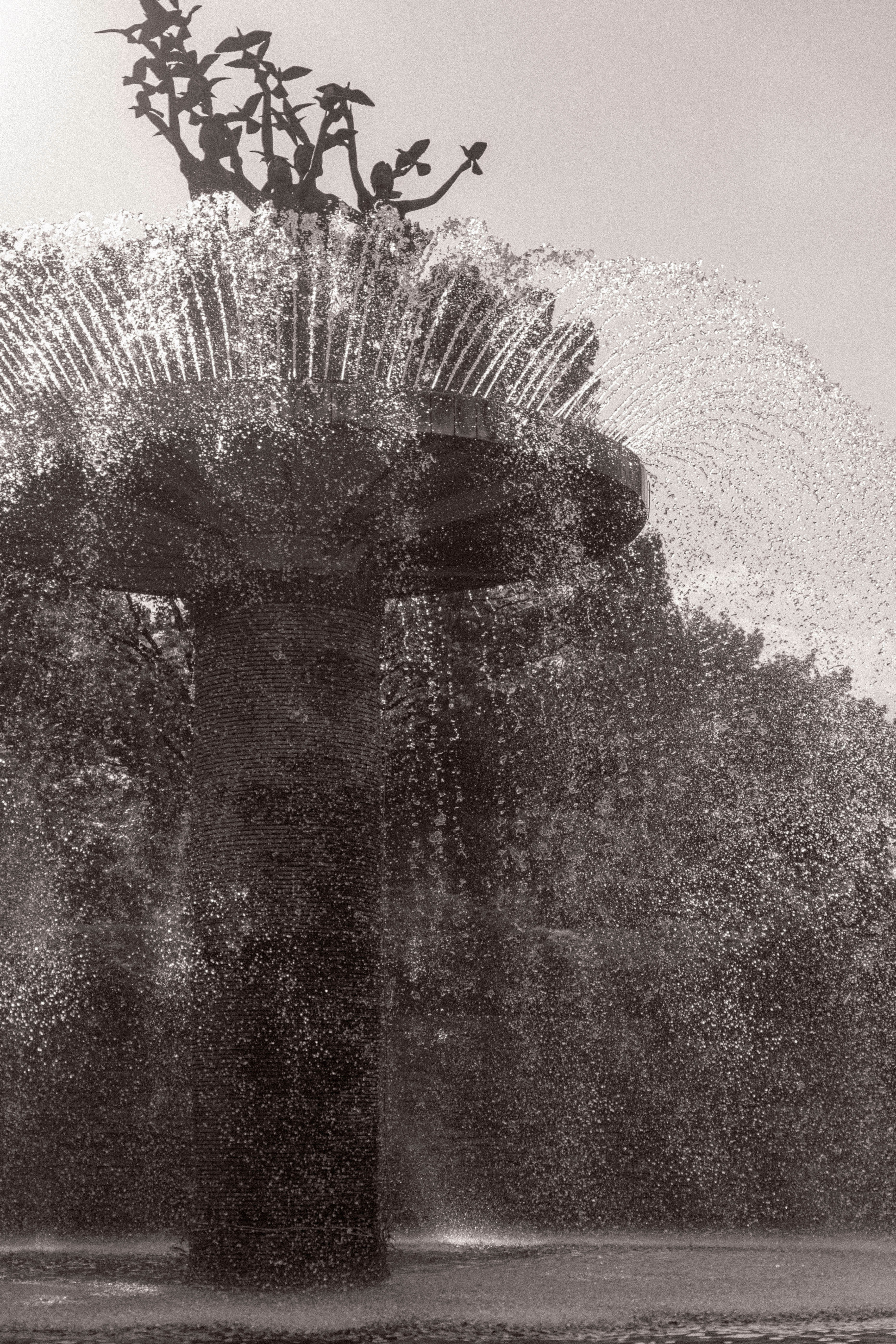 Hydro Bloom: A Circular Fountain Emerges in Quiet Monochrome