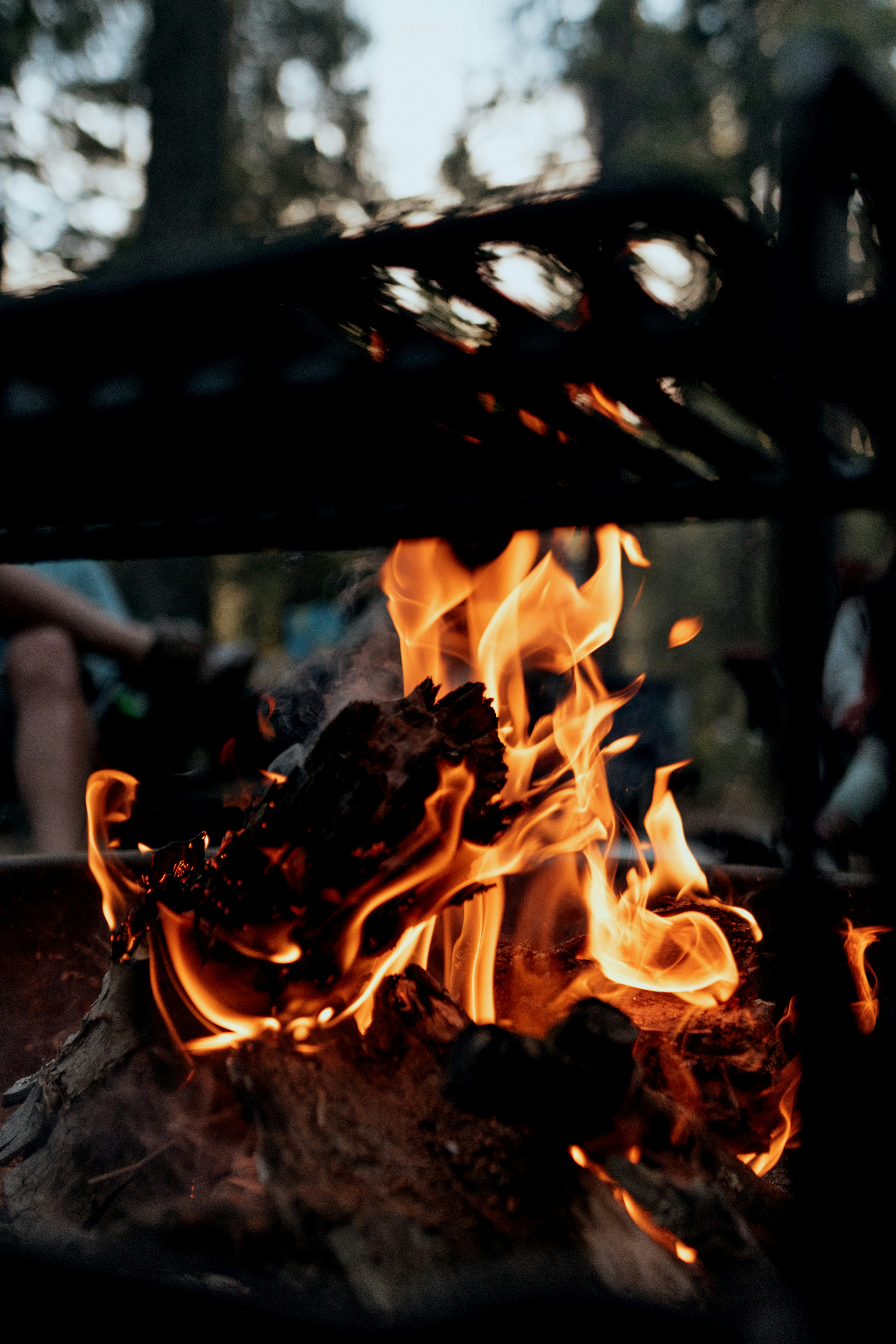 Fiery Campfire Portrait in Twilight