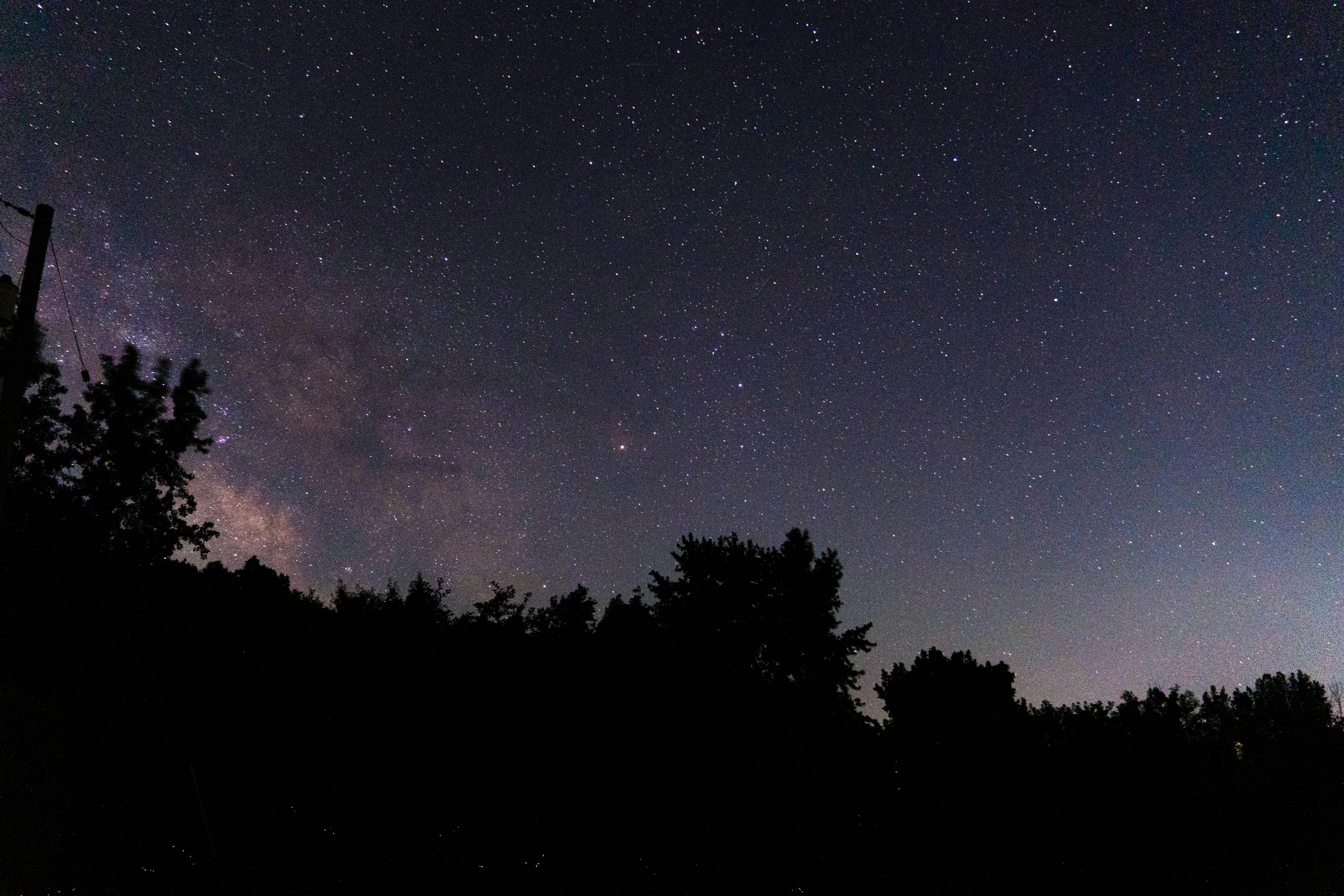 A starry night sky over trees photo – Free Grey Image on Unsplash