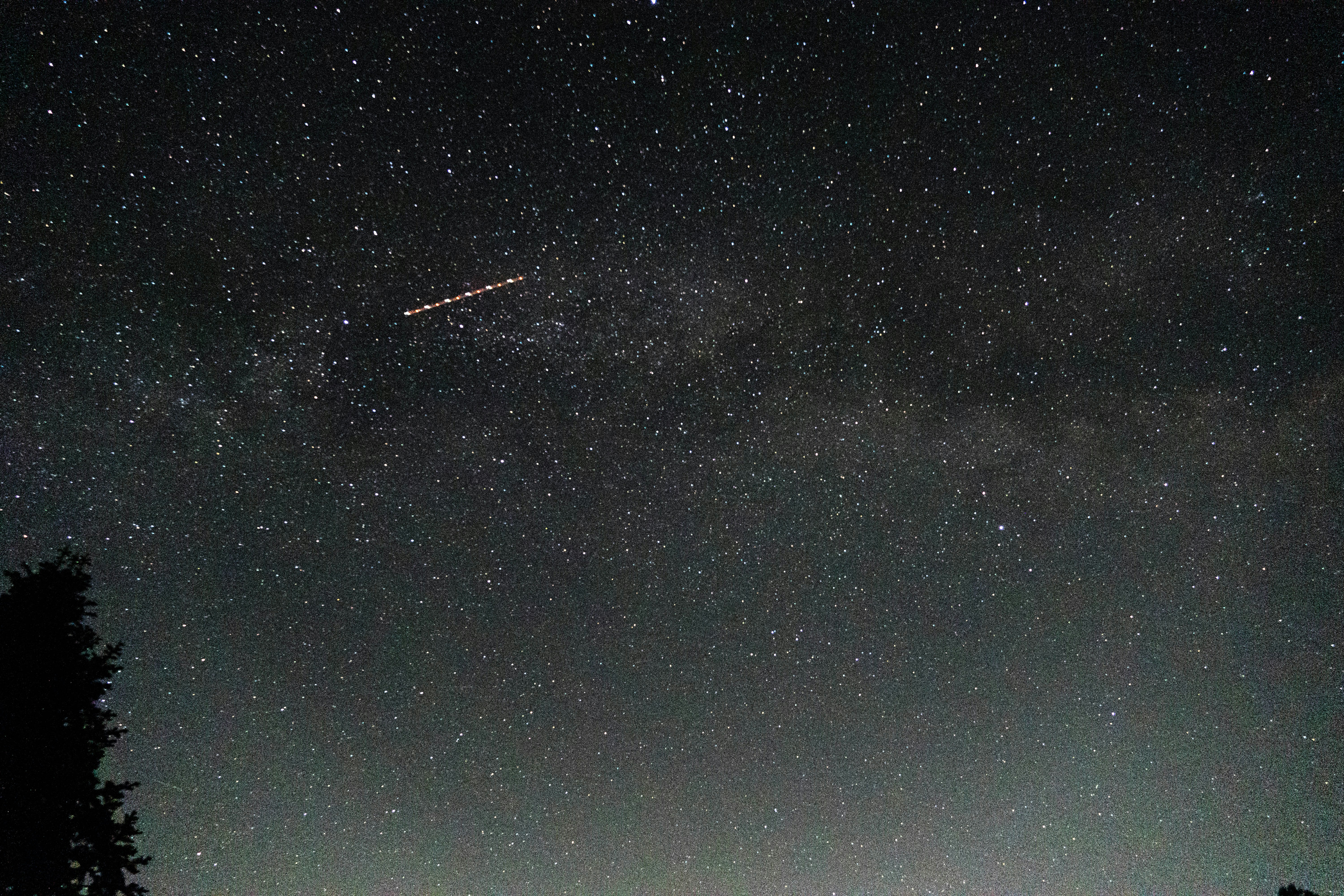A starry night sky with a tree photo – Free Space Image on Unsplash