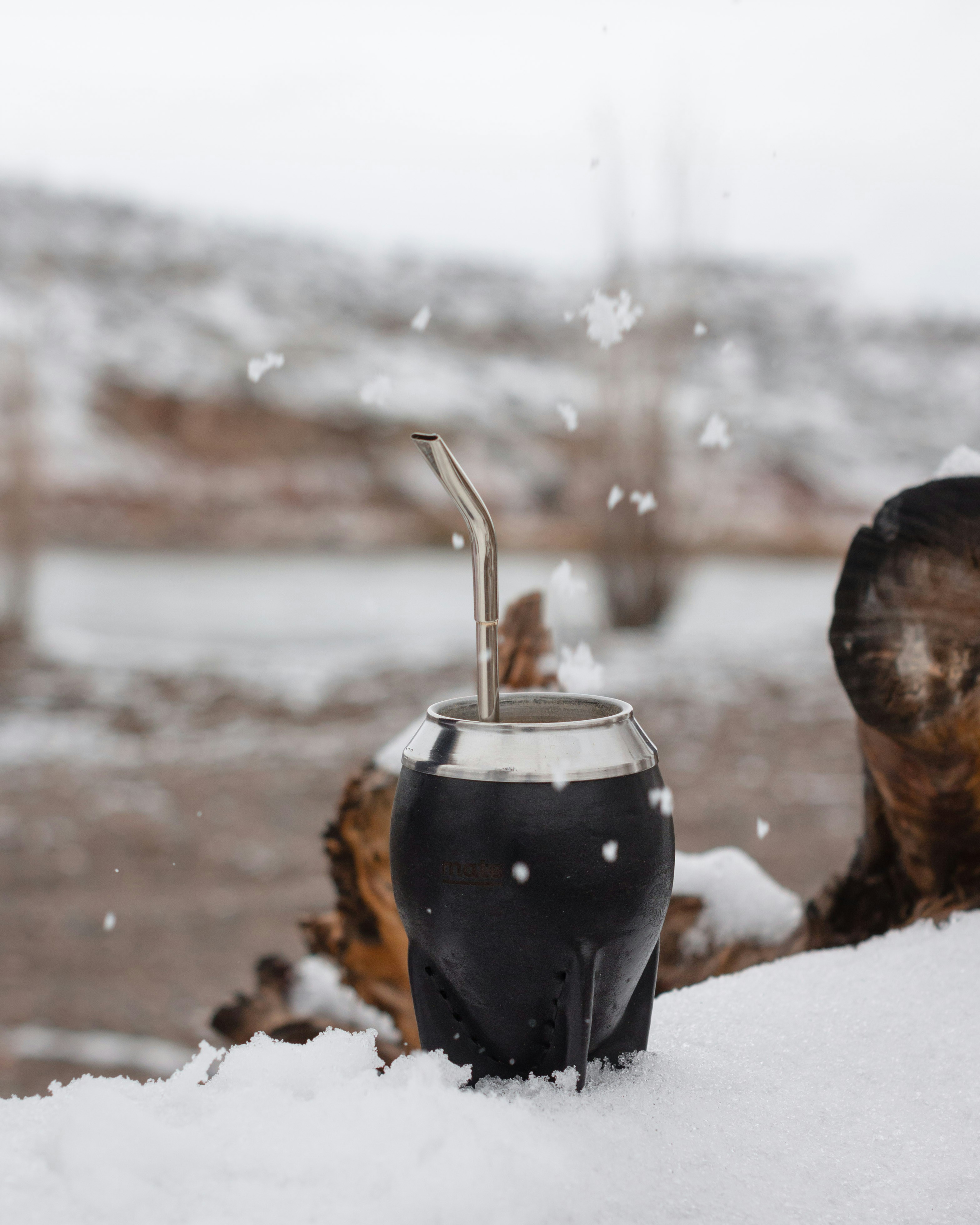 Curved straw in a snow-dusted can amid a quiet winter scene