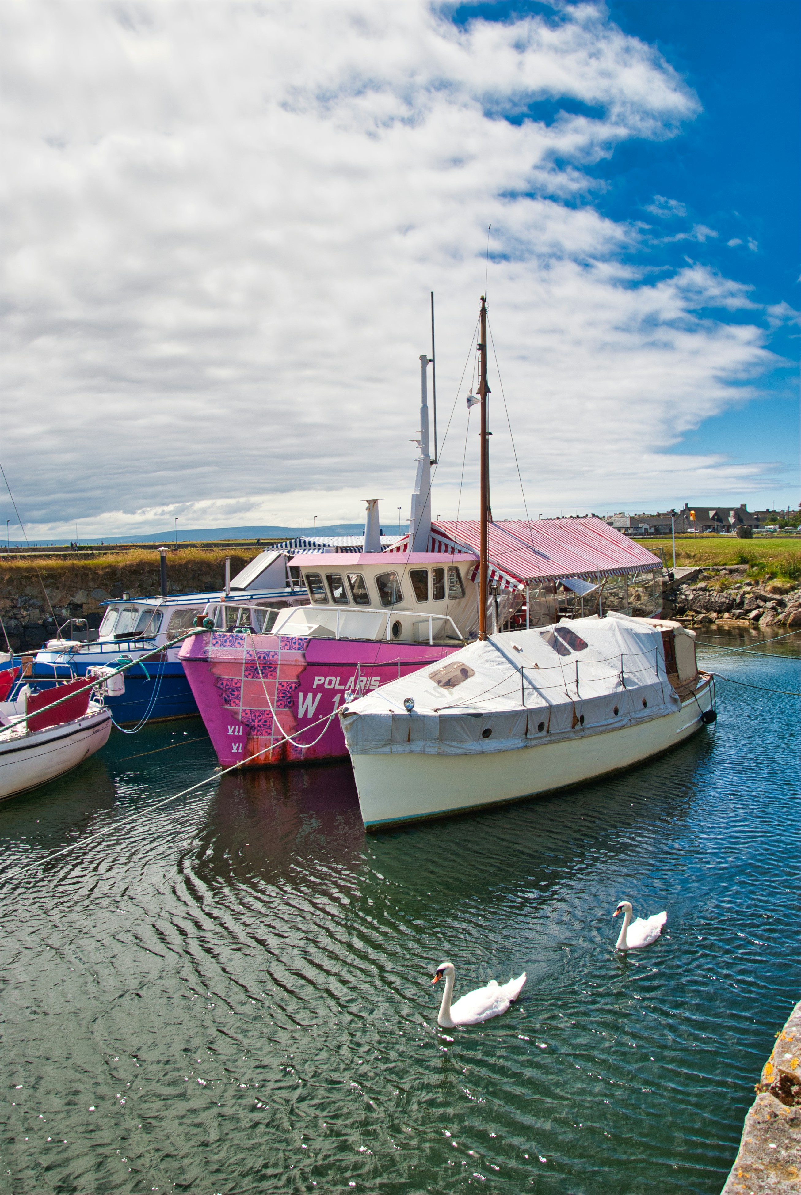 Pastel Armada at a Sunlit Harbor