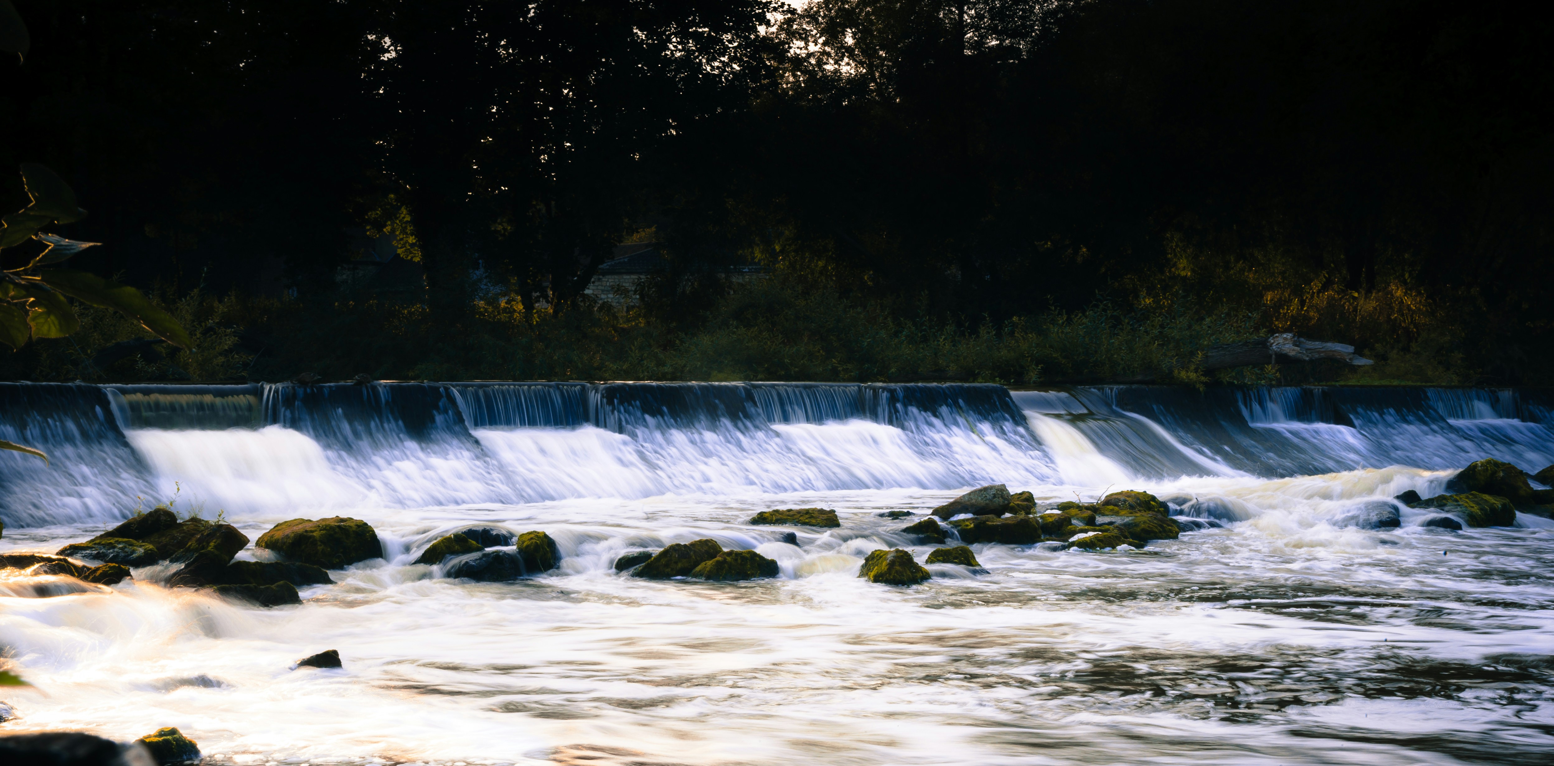 Gentle rapids cascade over rocks beneath a canopy of lush trees at dusk.