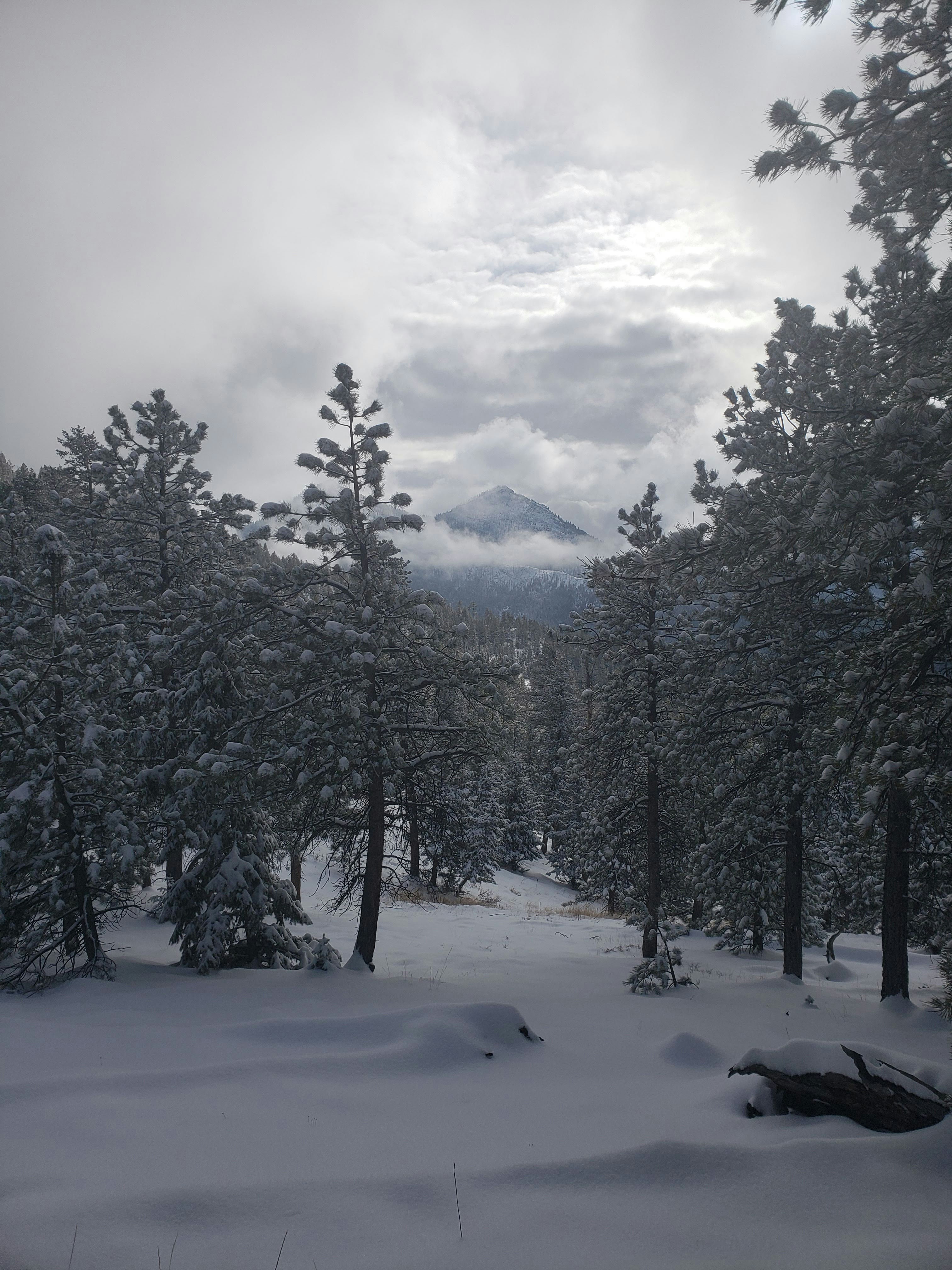 Sample photo from Samsung Galaxy S9 Plus