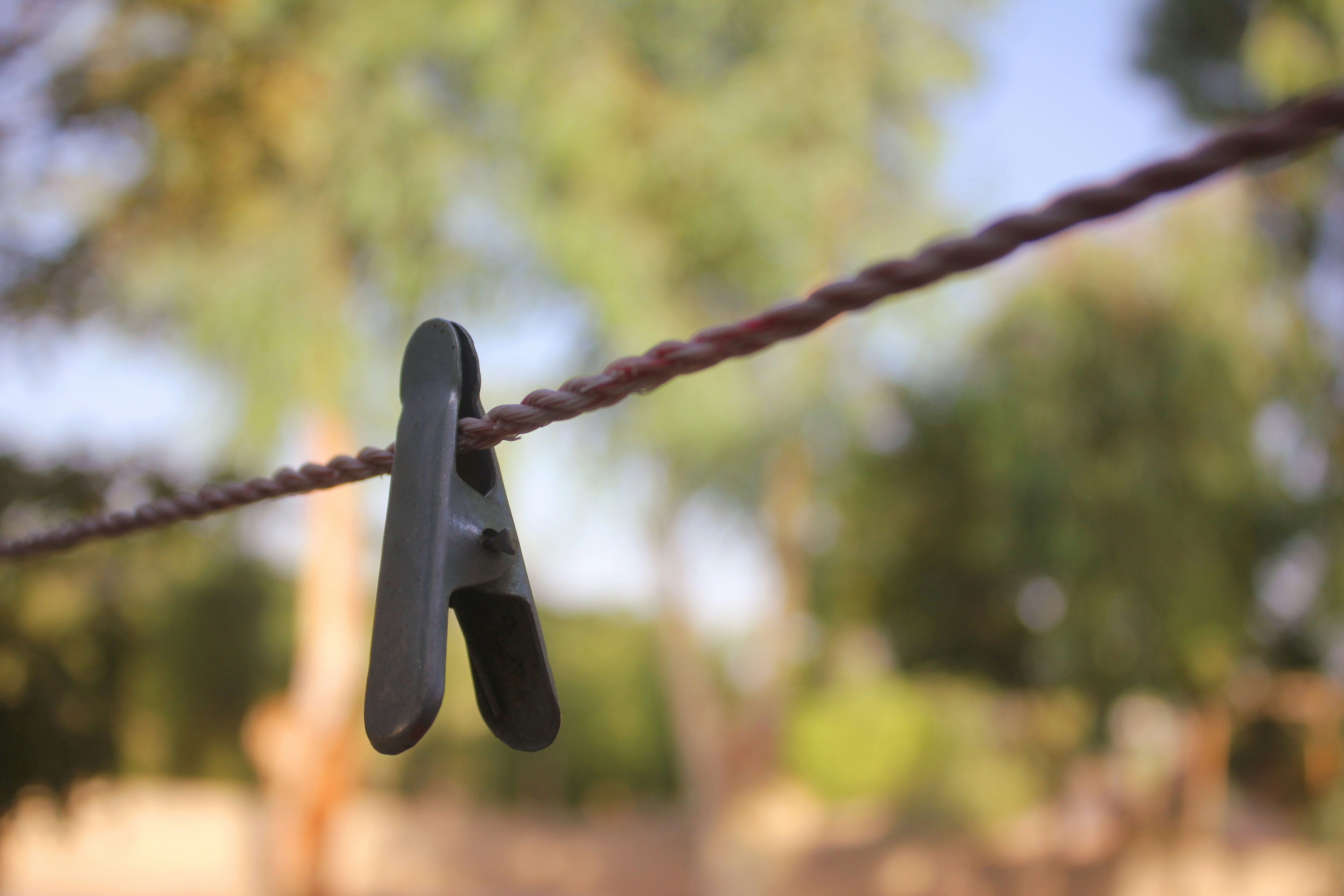 a black object on a branch