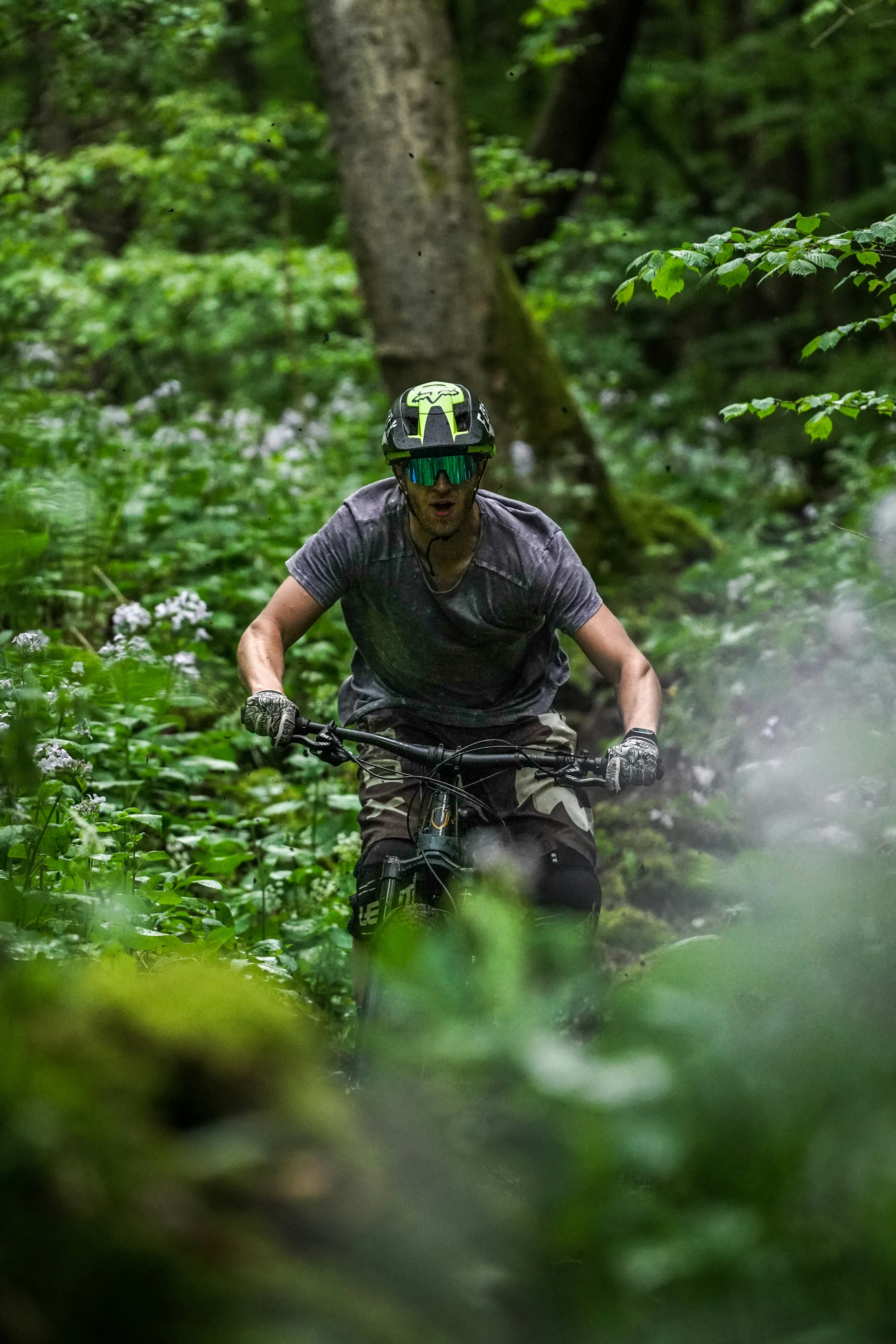 Mountain biker navigating a lush, green forest trail surrounded by vibrant foliage and wildflowers.