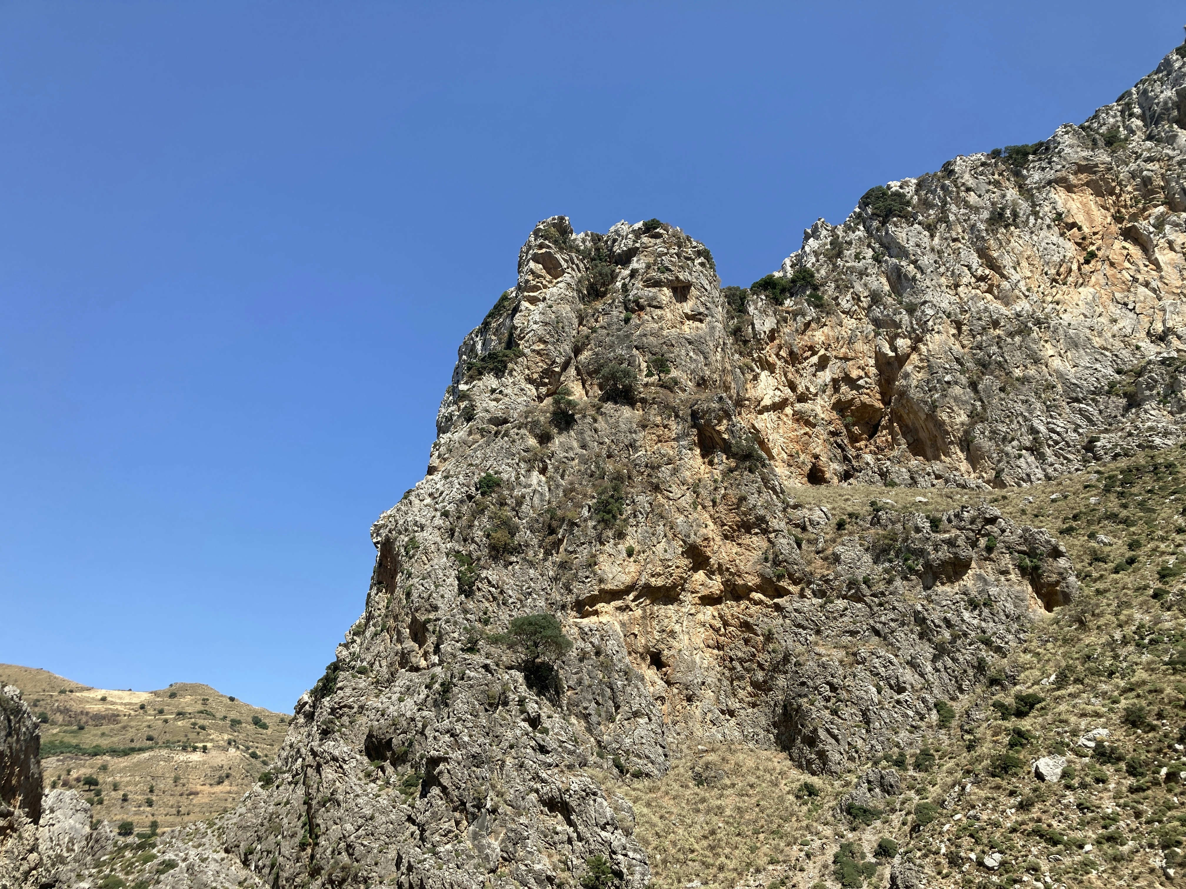 Photo by Alex with Apple iPhone SE