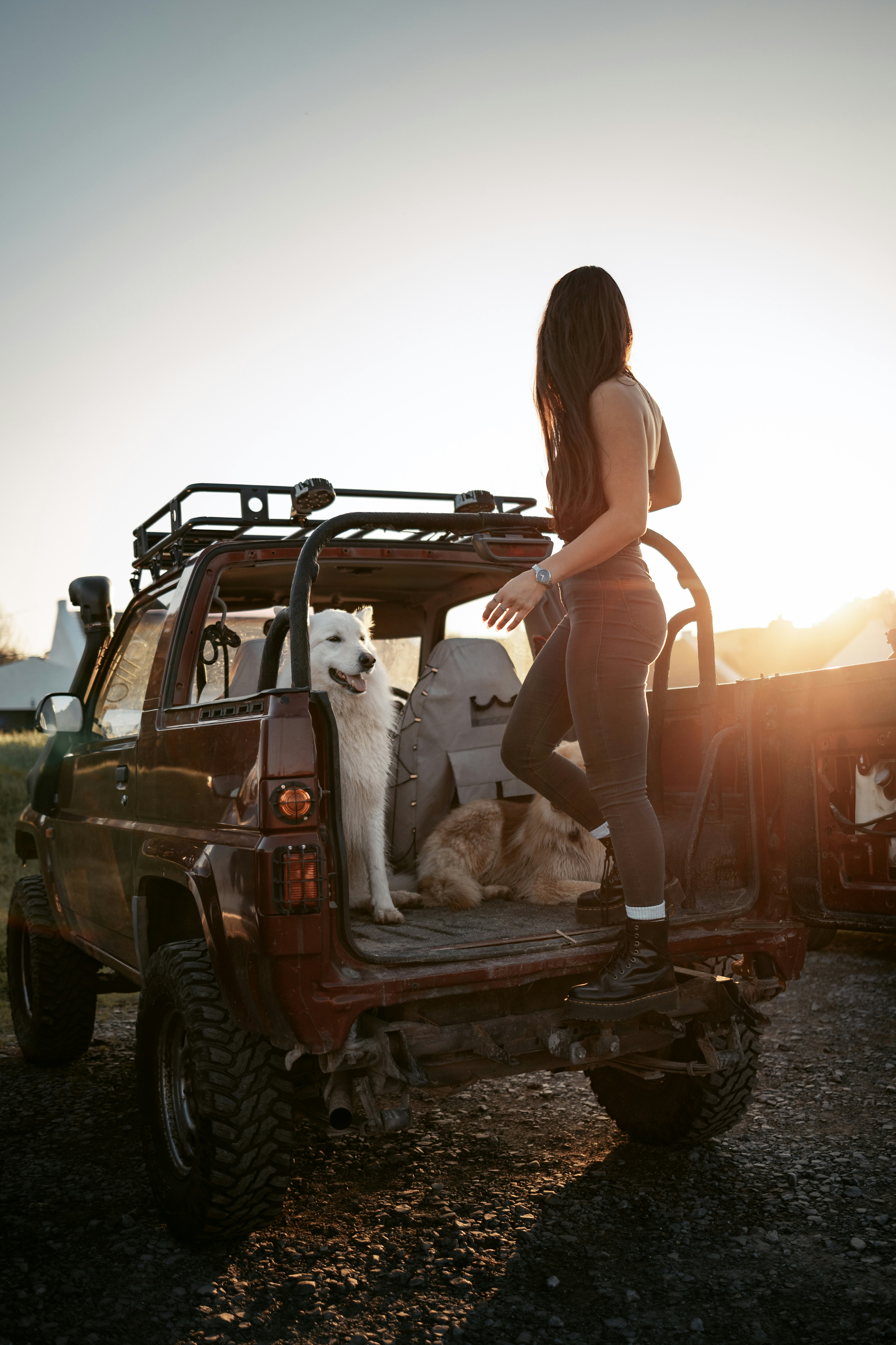 Dust, Drive, and Dusk: A Woman and Her Canine Companions on a Weathered Trail Rig