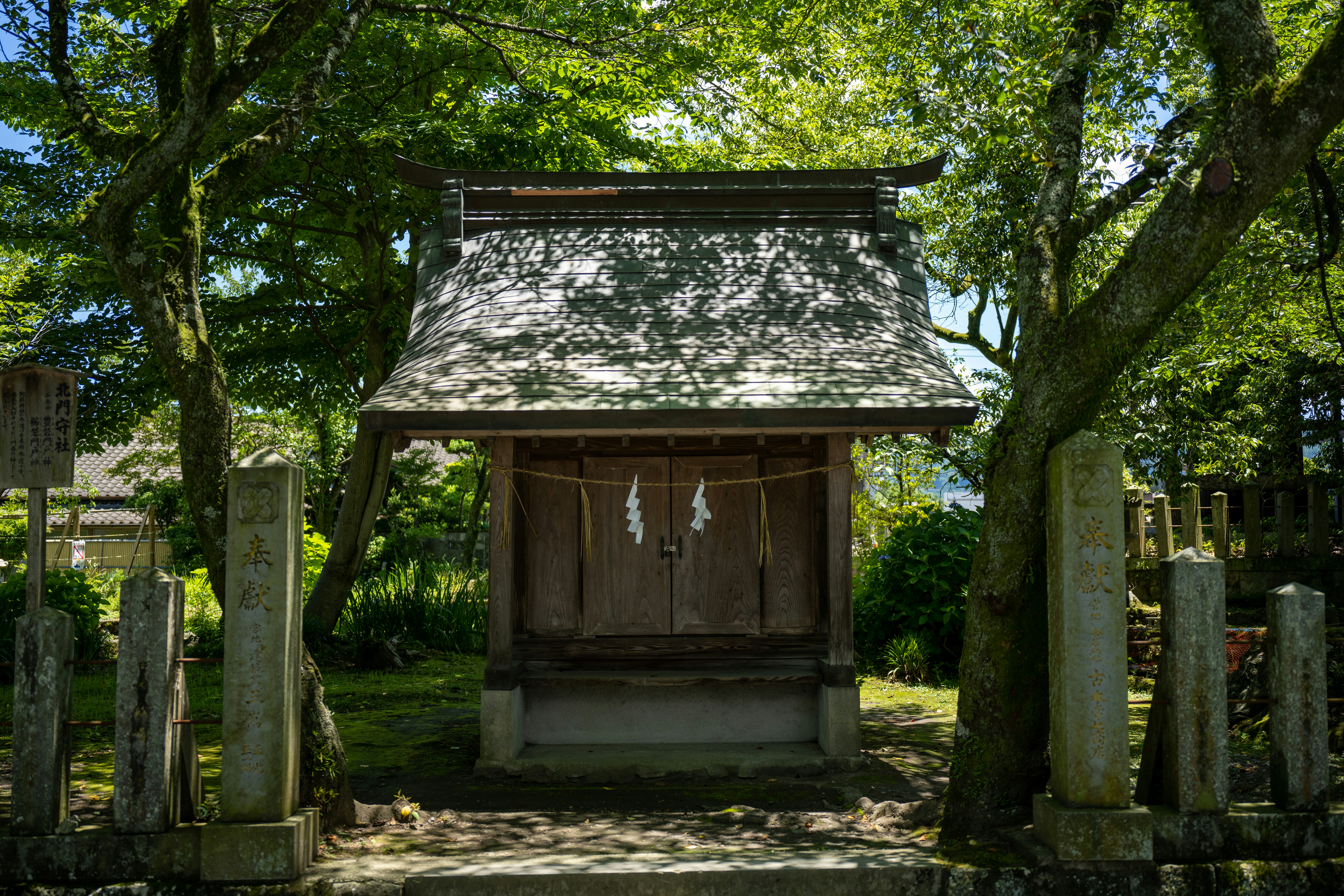 Dappled Light on a Quiet Shinto Shrine