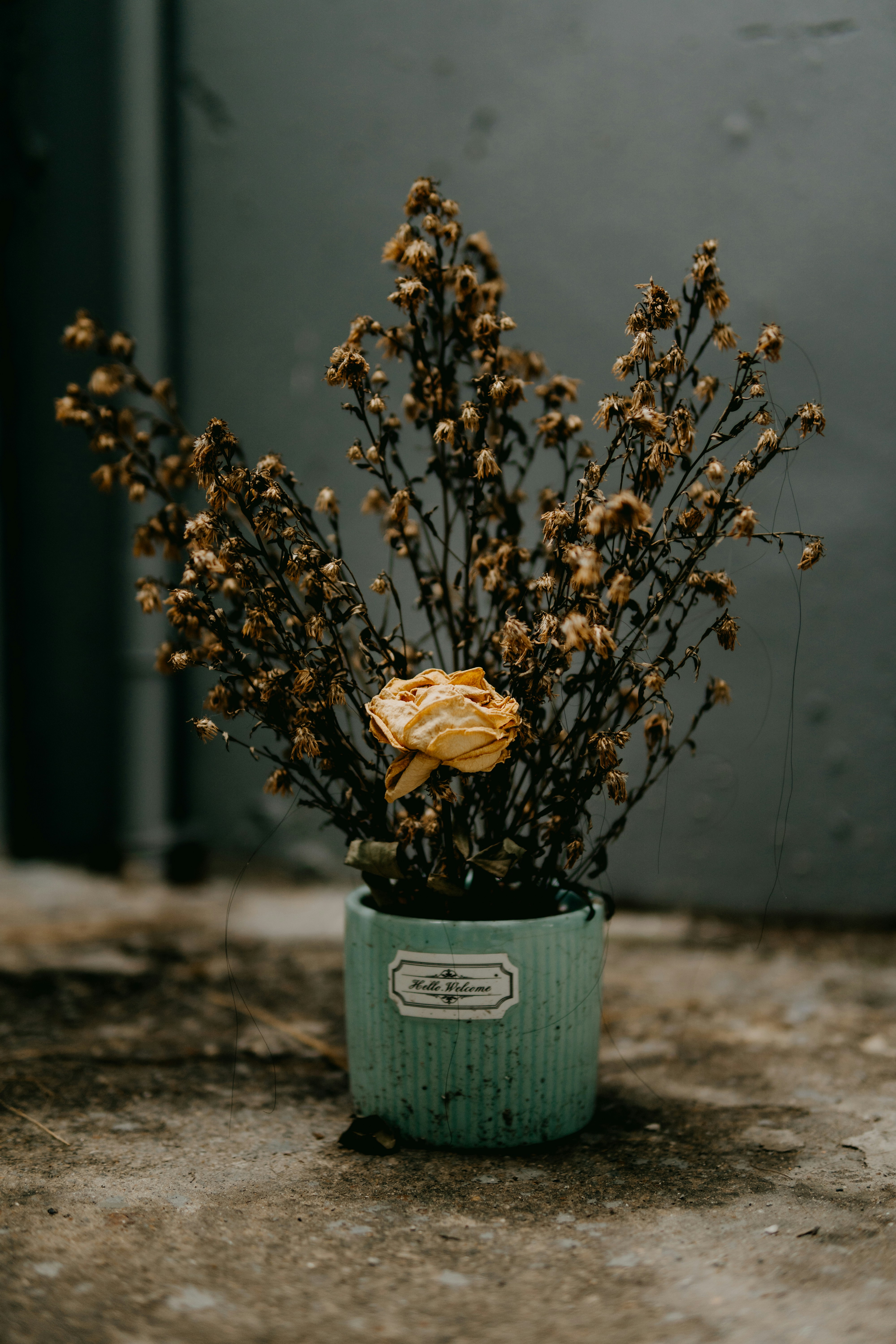 Un vase rempli de fleurs posé sur un comptoir photo – Photo Gris ...