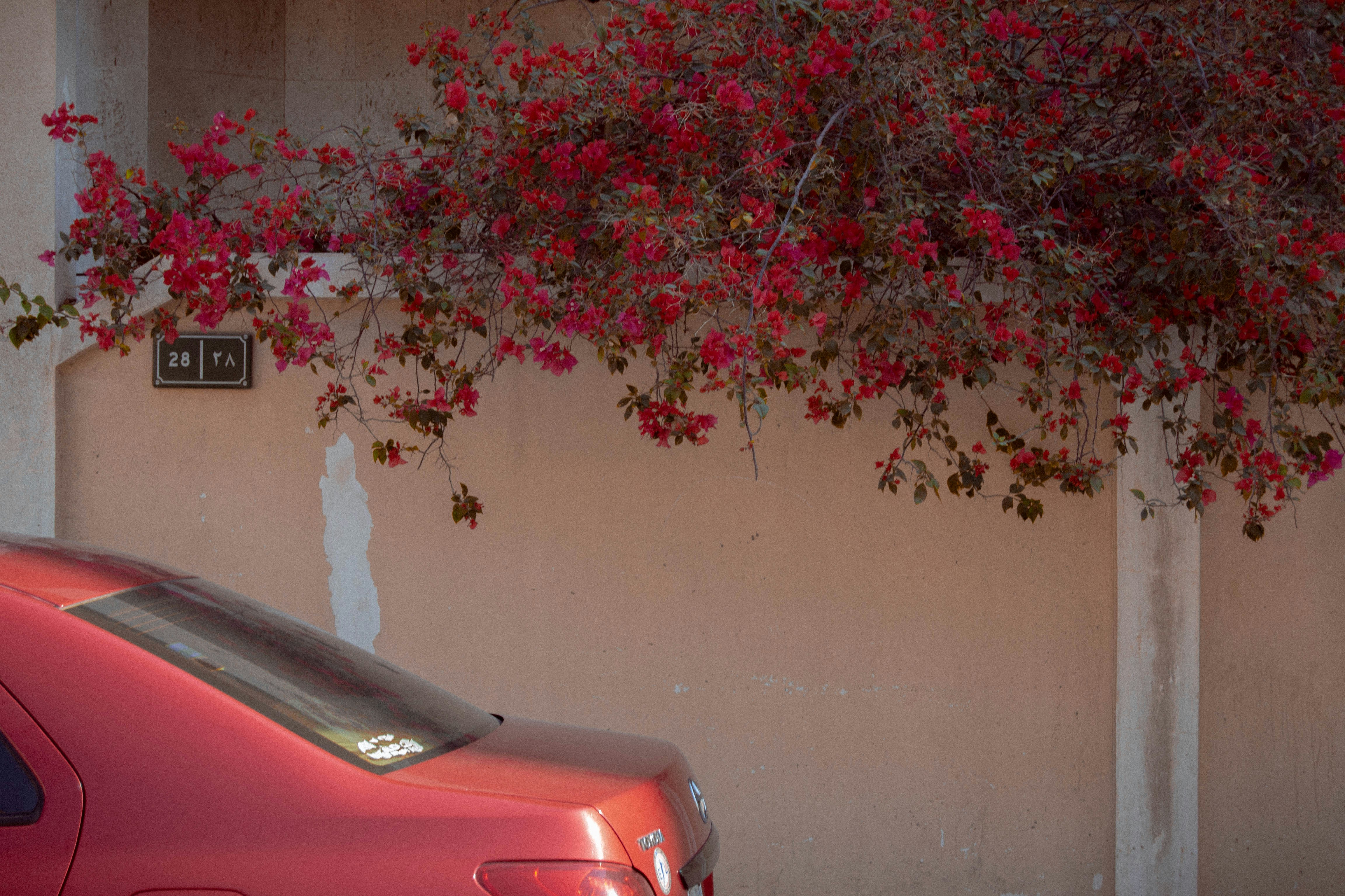 Photo by Yousef Hussain with Nikon D3100