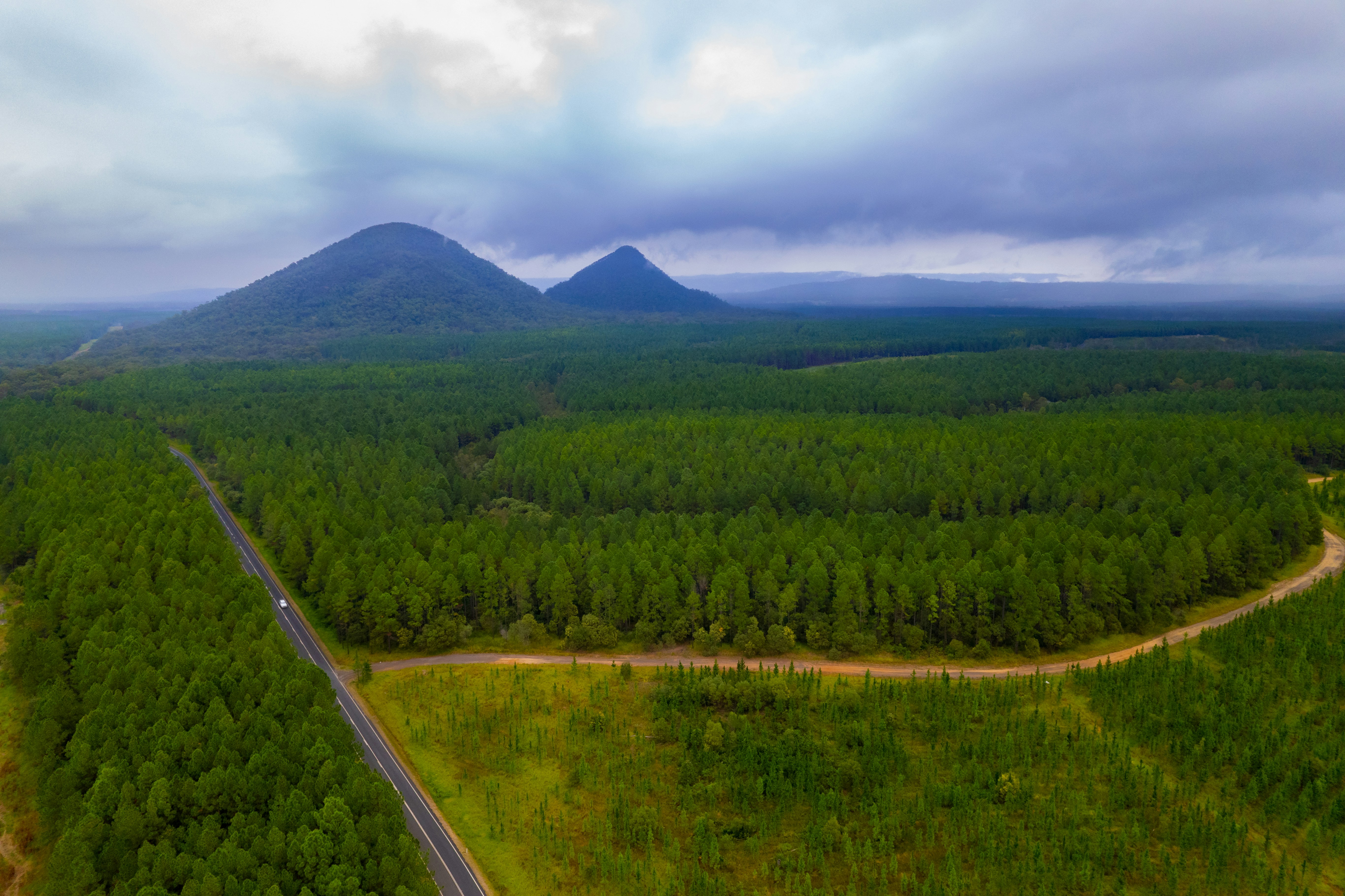 Twin Peaks Above the Pine Sea