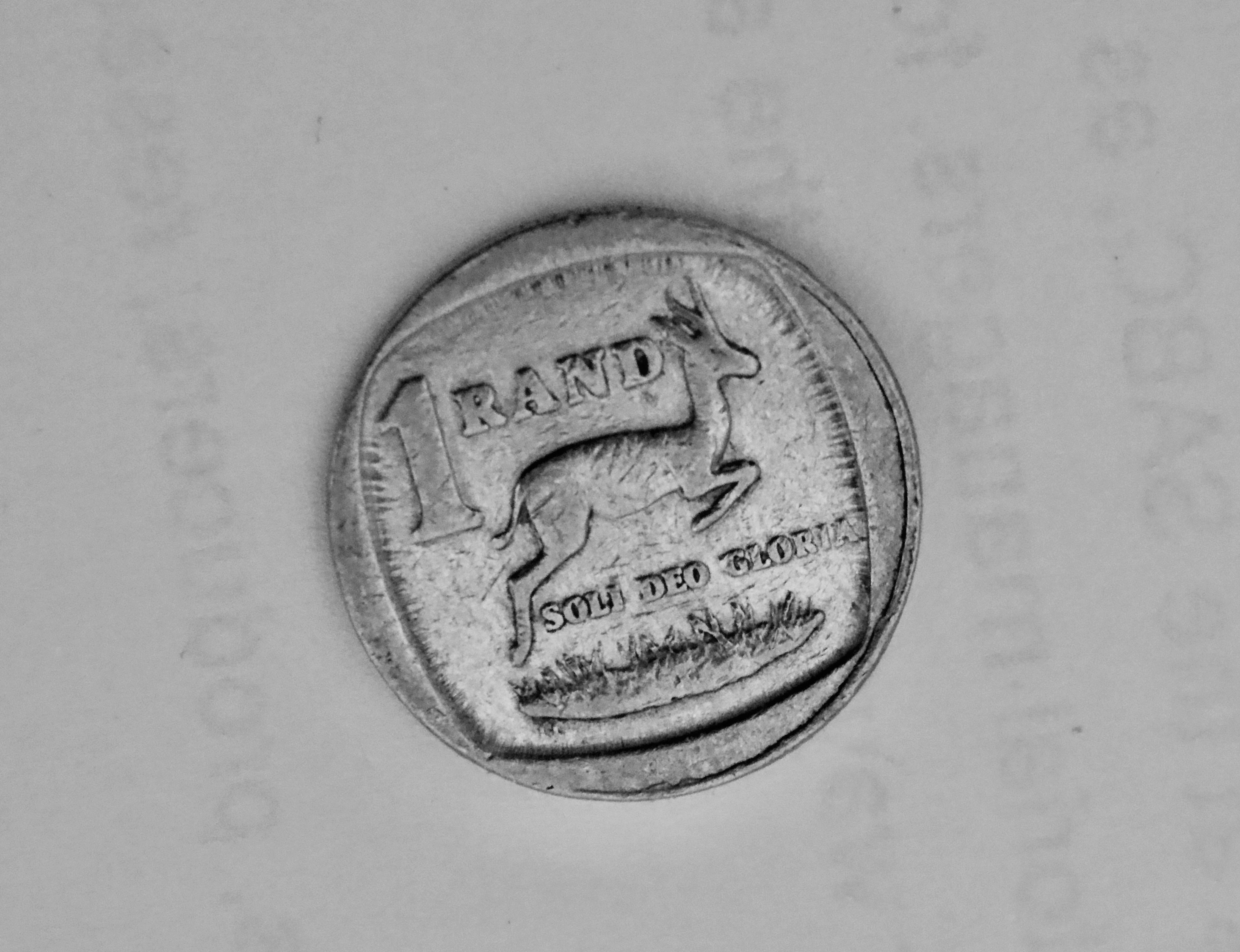 Relief in Gray: Macro Portrait of a Coin