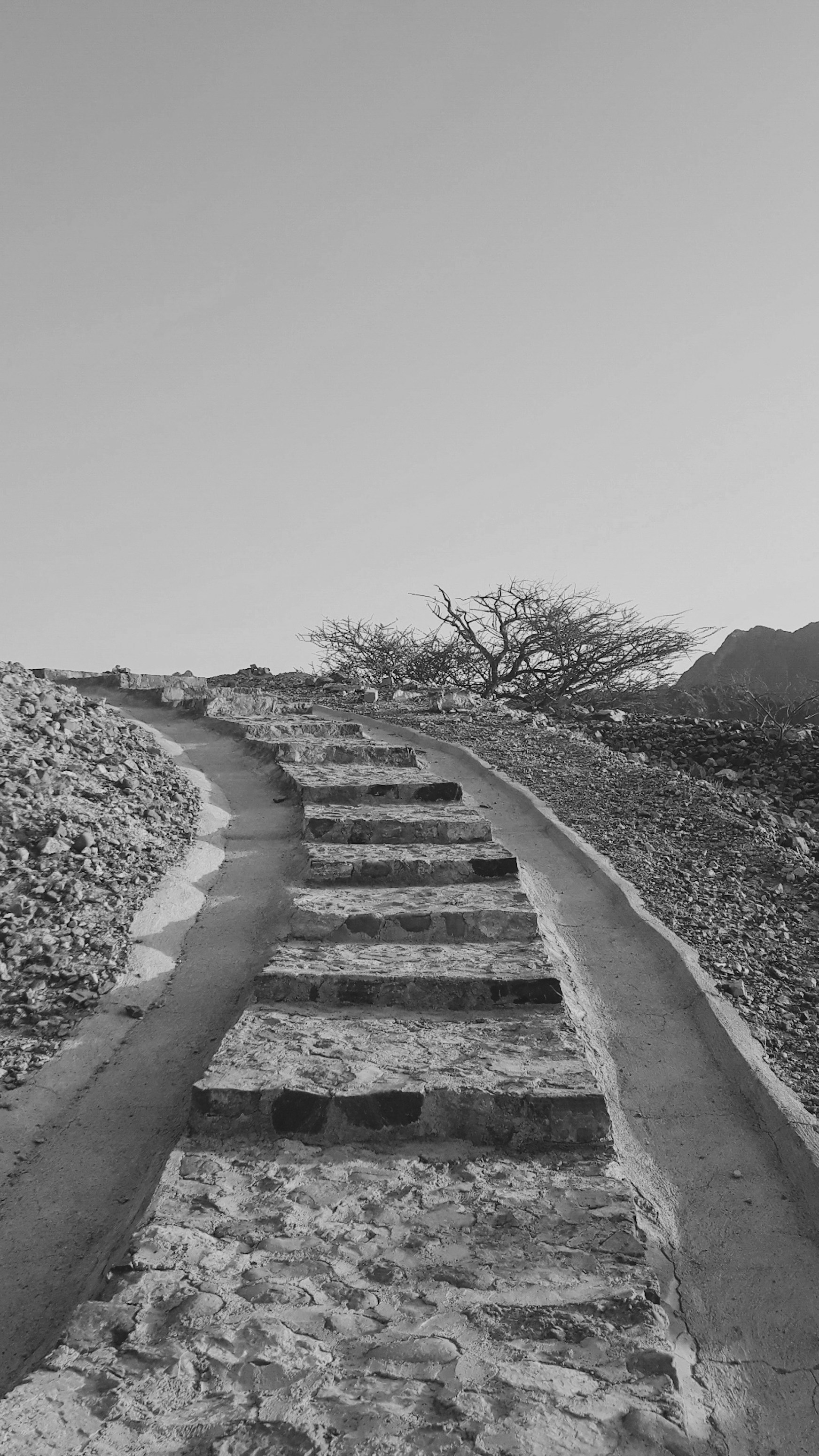 A stone pathway with rocks and grass photo – Free Dubai - united arab ...