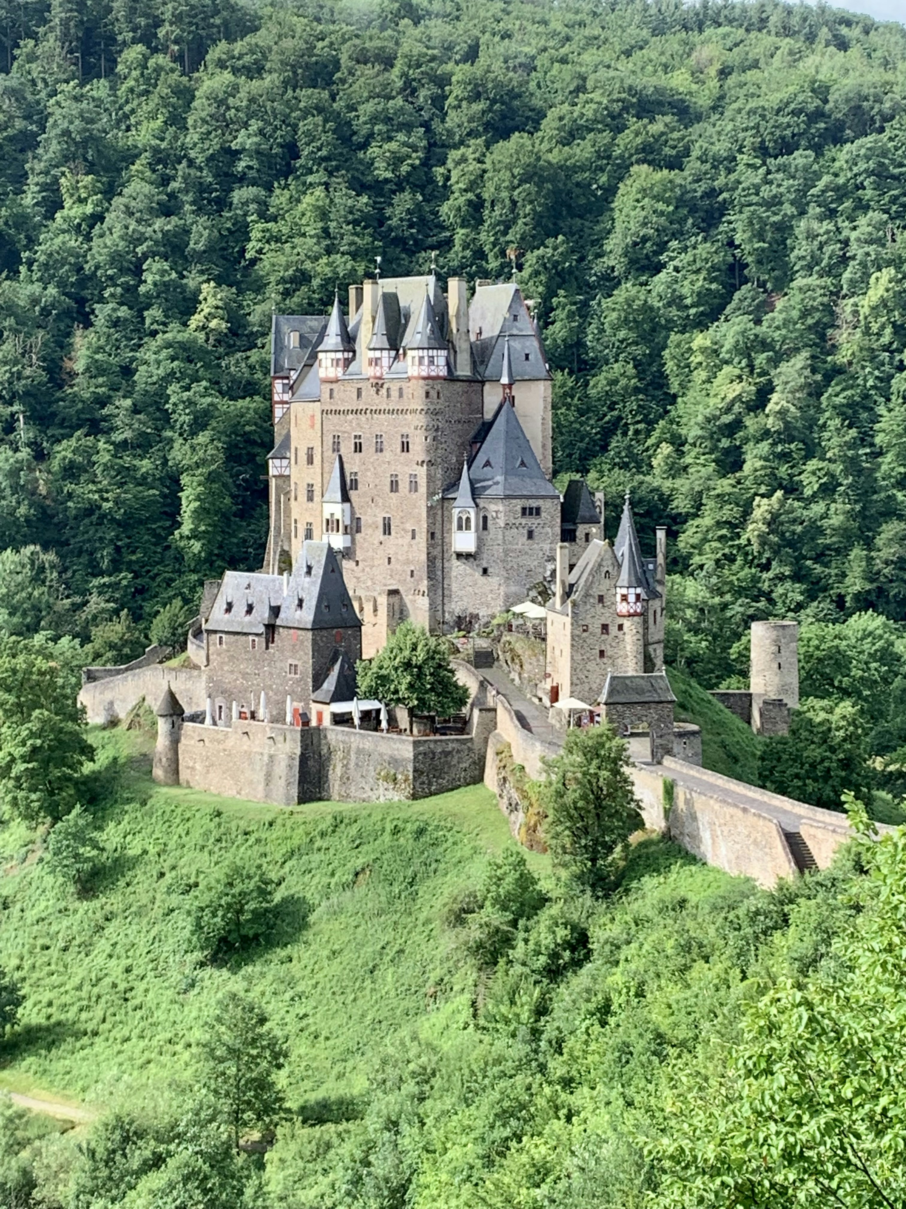 Emberstone Castle: A Forest-Born Citadel on the Hill