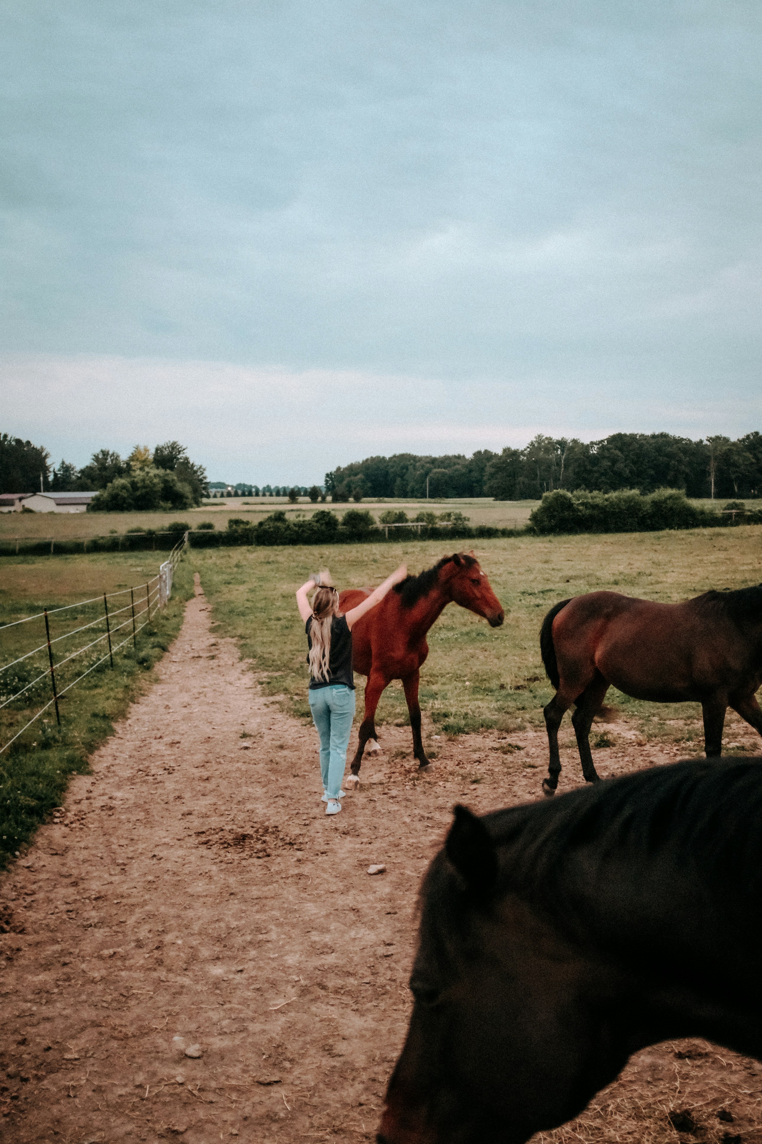 A person walking with horses photo – Free Animal Image on Unsplash