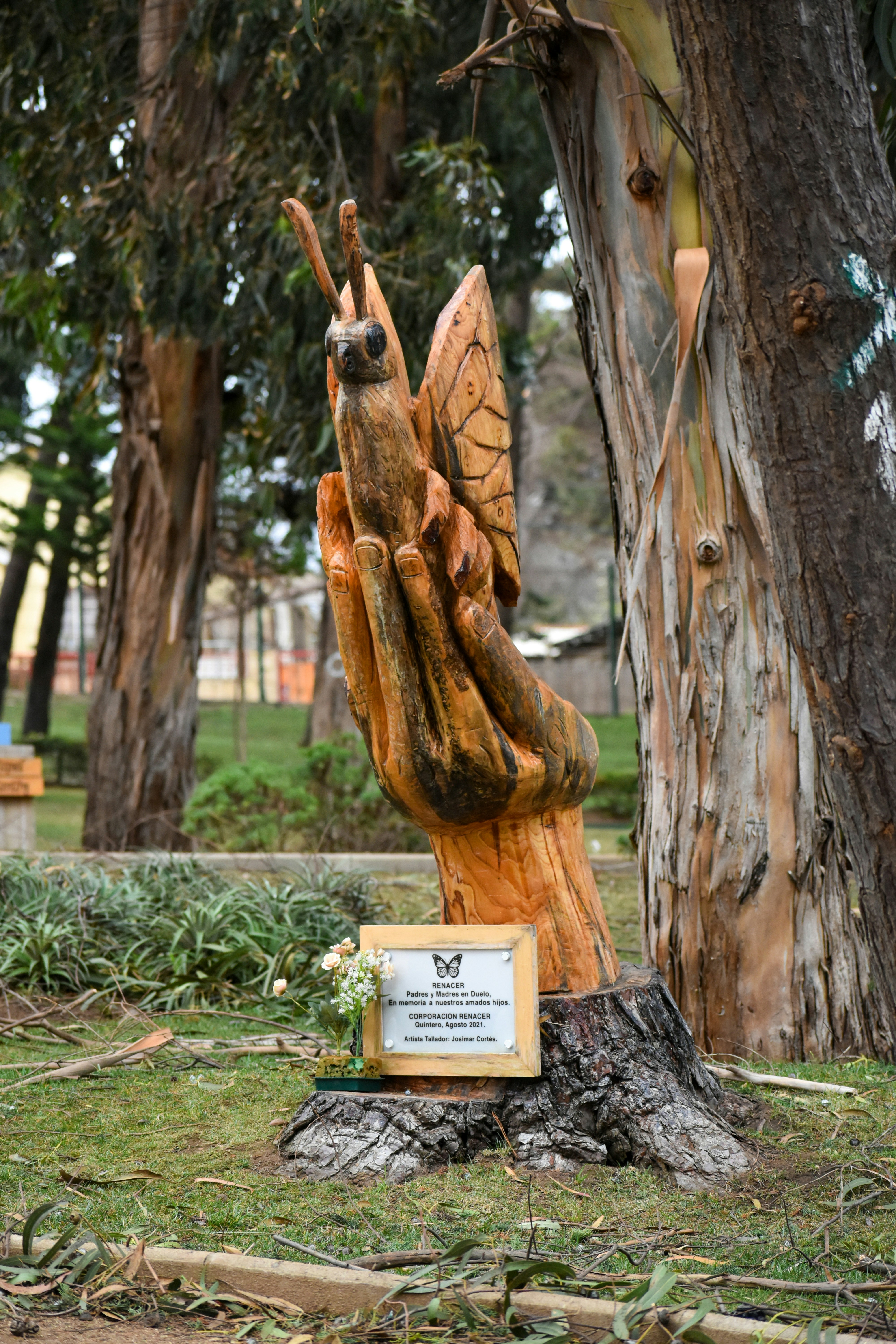 Wooden Hand of the Park: A Weathered Gesture Among Trees and Stone