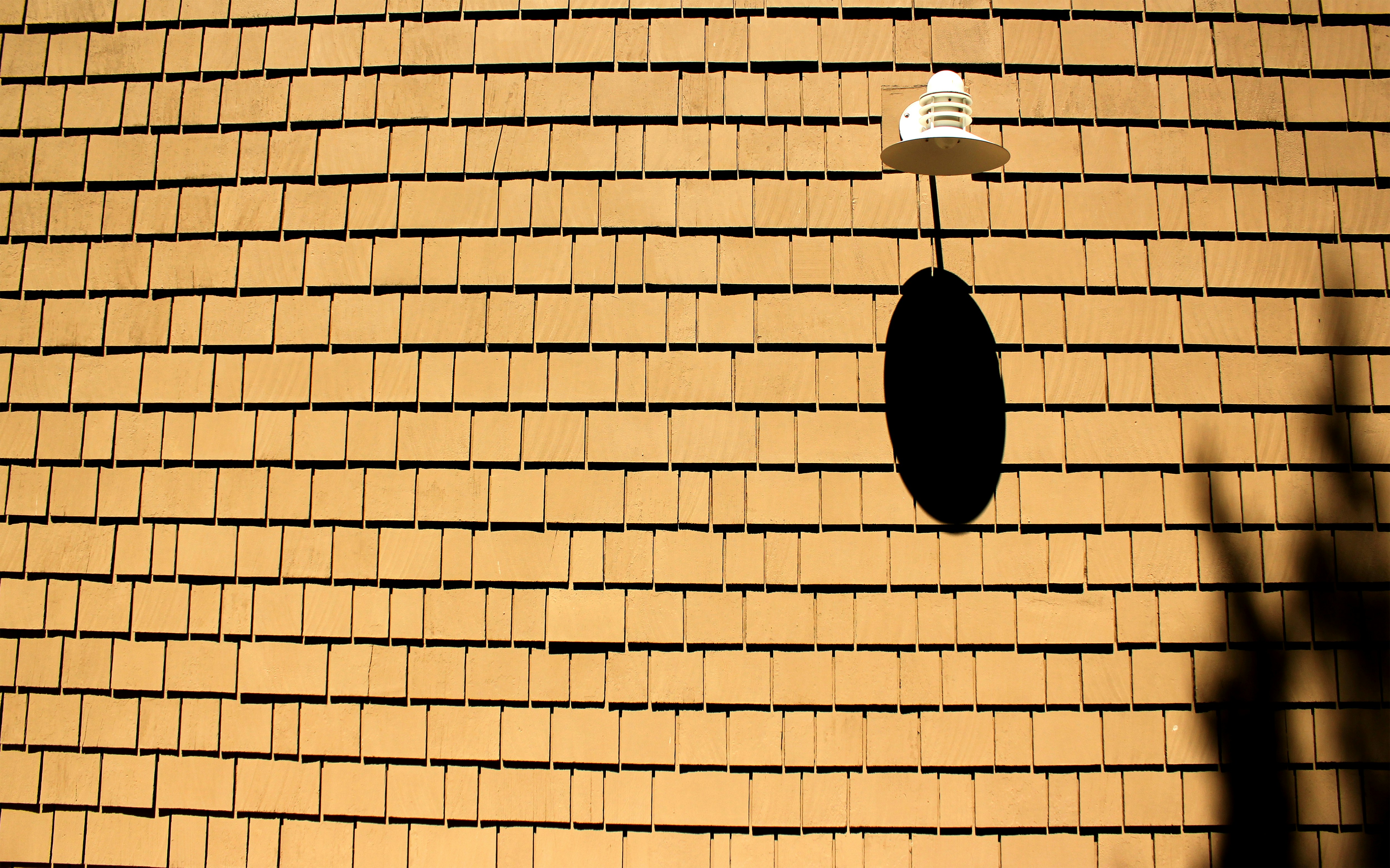 Dexter Jacobs (@dexterjacobs) | Unsplash Photo Community