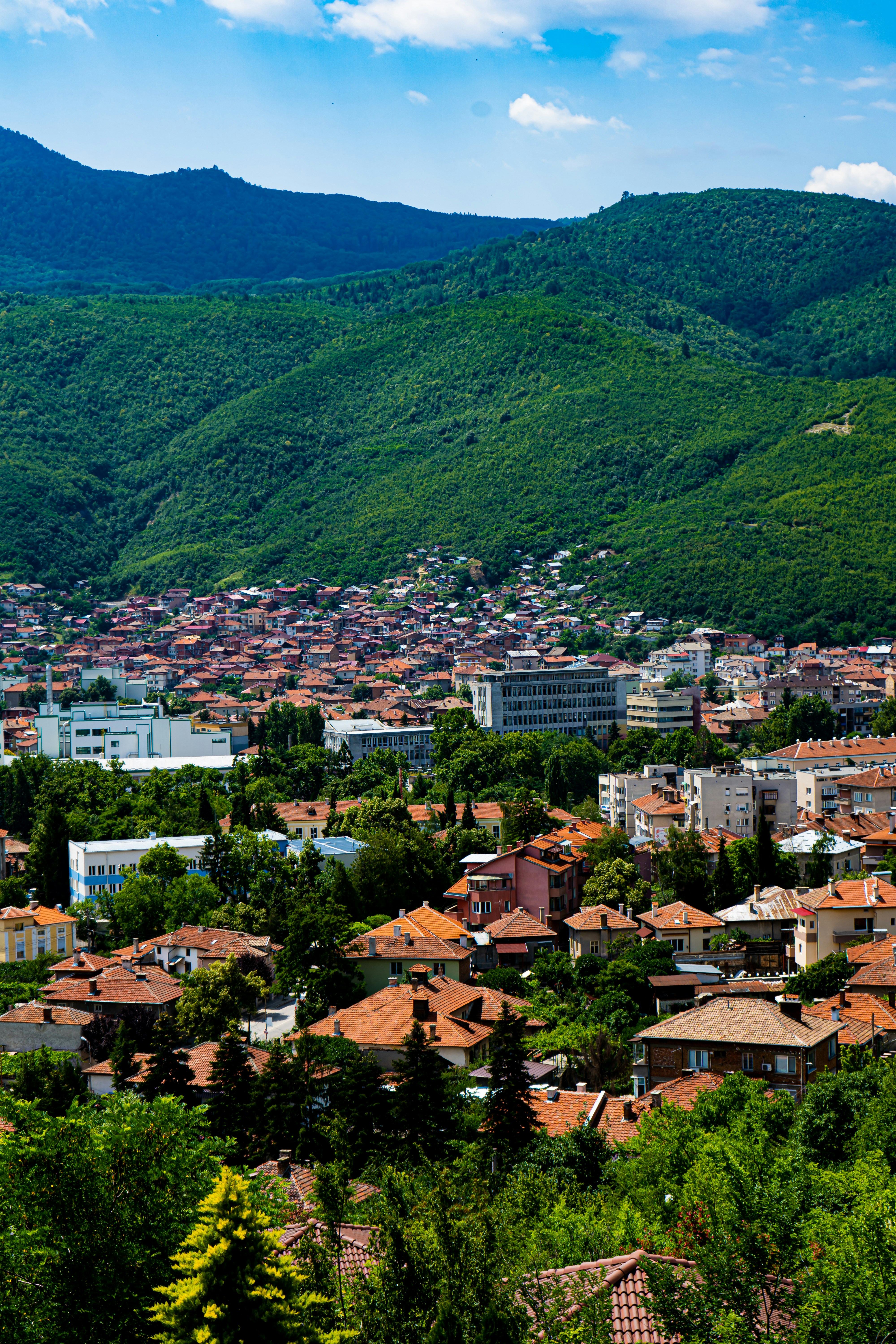 A panoramic view of a charming town nestled among lush green hills, showcasing a blend of residential and commercial architecture. The scene captures the harmony between nature and urban life.