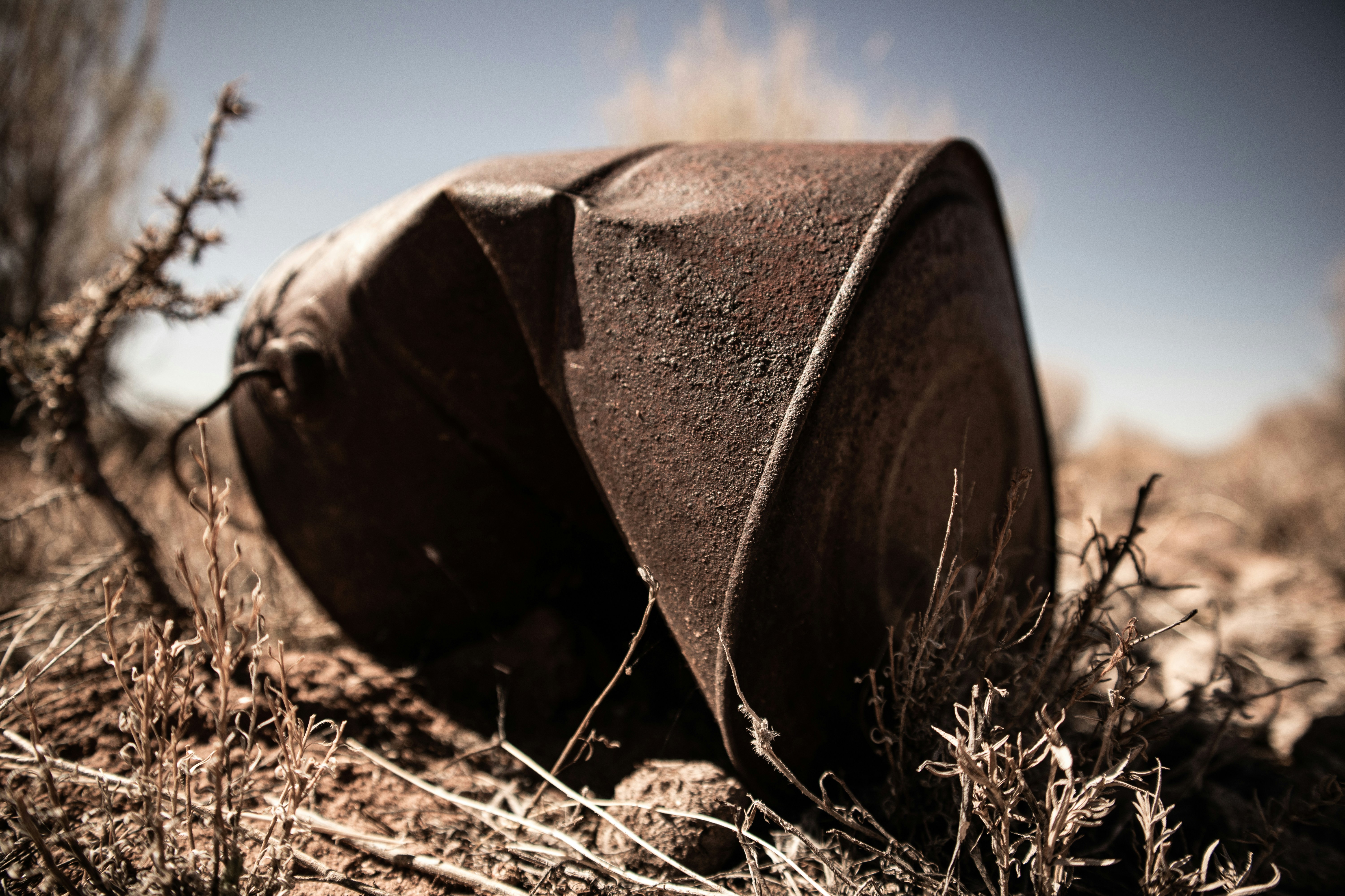 Desert Iron: A Weathered Canister Reclaimed by Vines