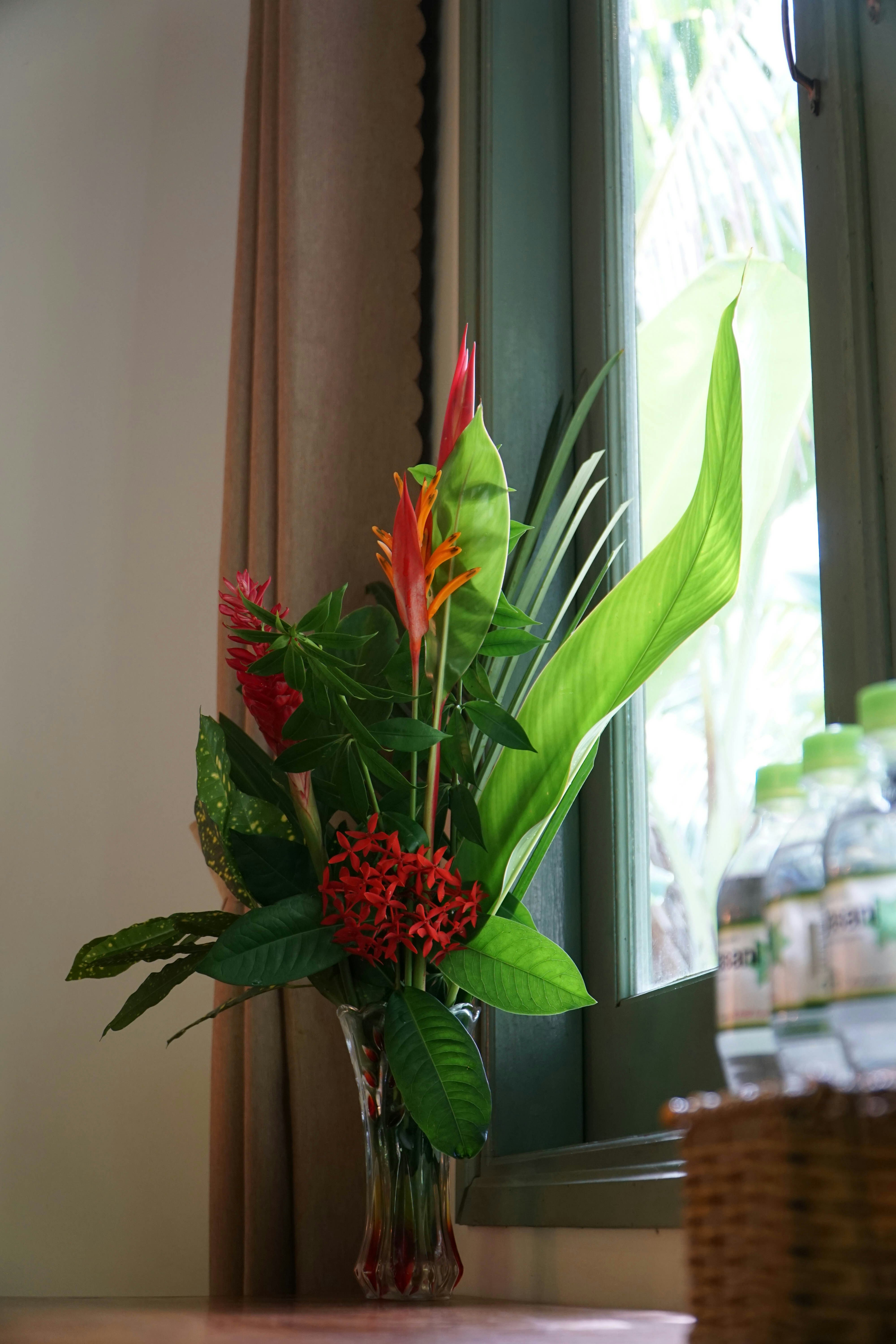A vibrant arrangement of tropical flowers in a glass vase beside a window, showcasing lush greenery and bright blooms. The scene captures a serene indoor atmosphere.