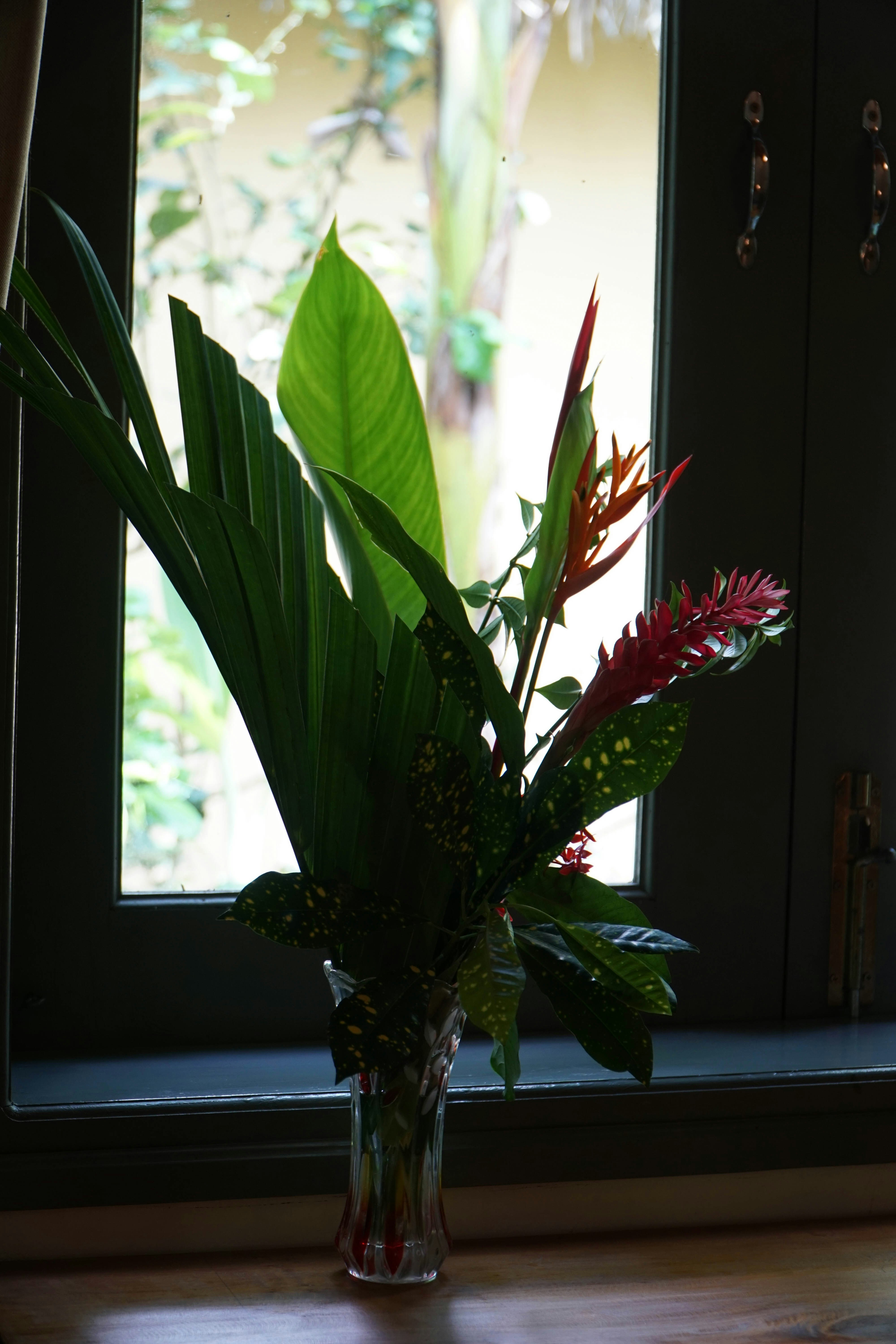Windowframe Tropics: Heliconia and Foliage in a Glass Vase