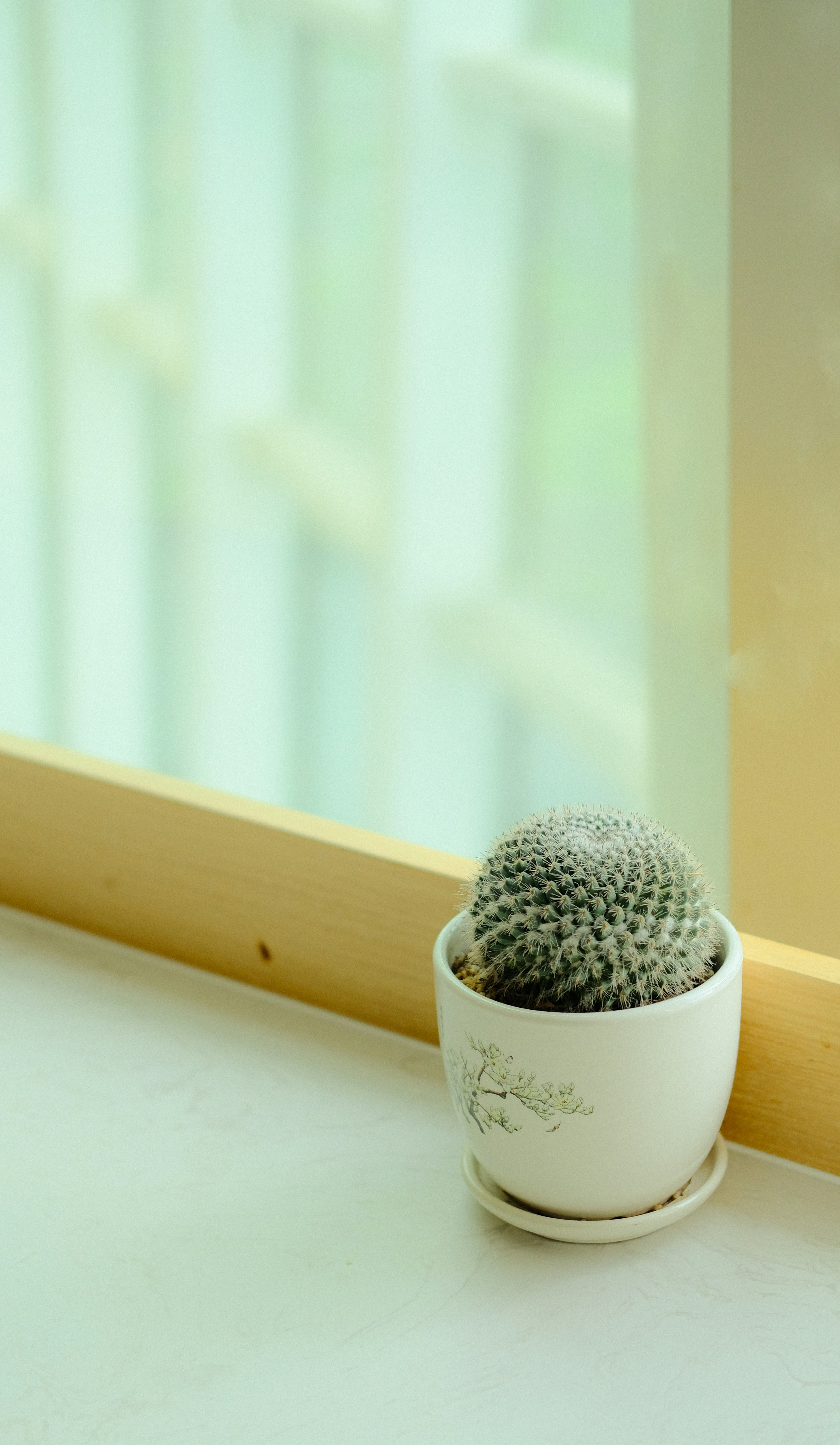 Photo by Tuyen Vo with Fujifilm X-E3