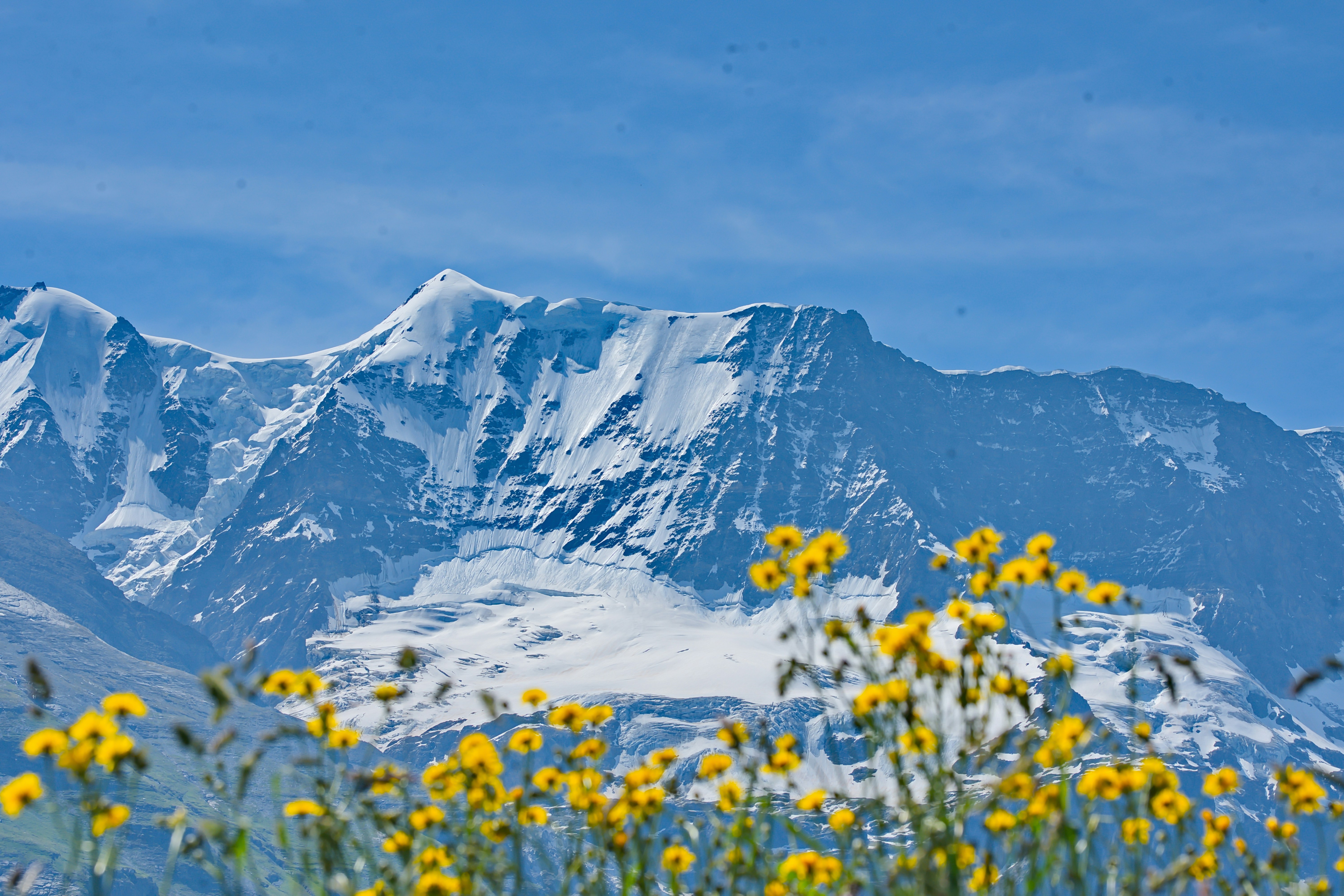 Photo by Dean Milenkovic with Sony Alpha 7 III