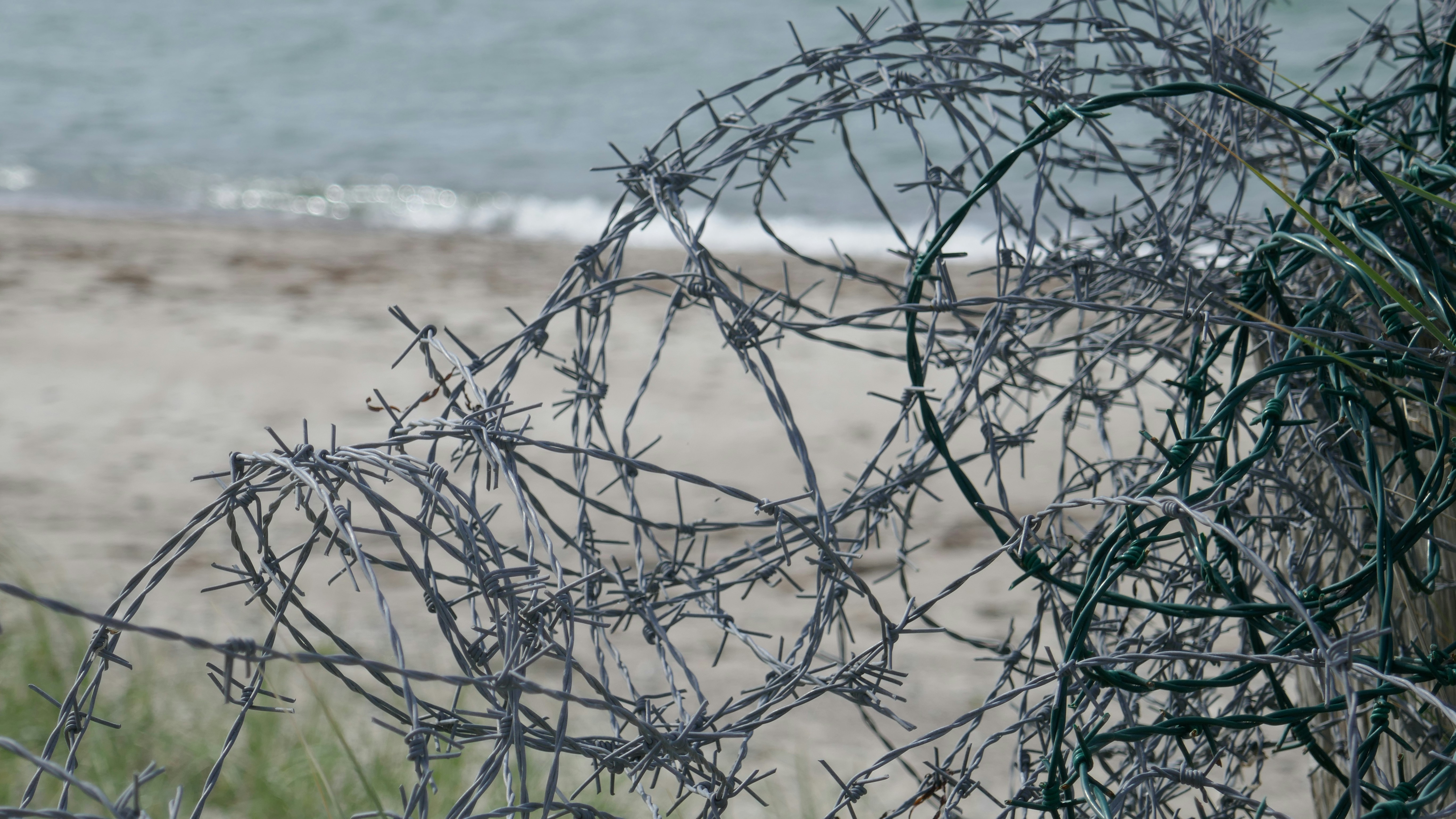 Barbed Gate to the Distant Shore